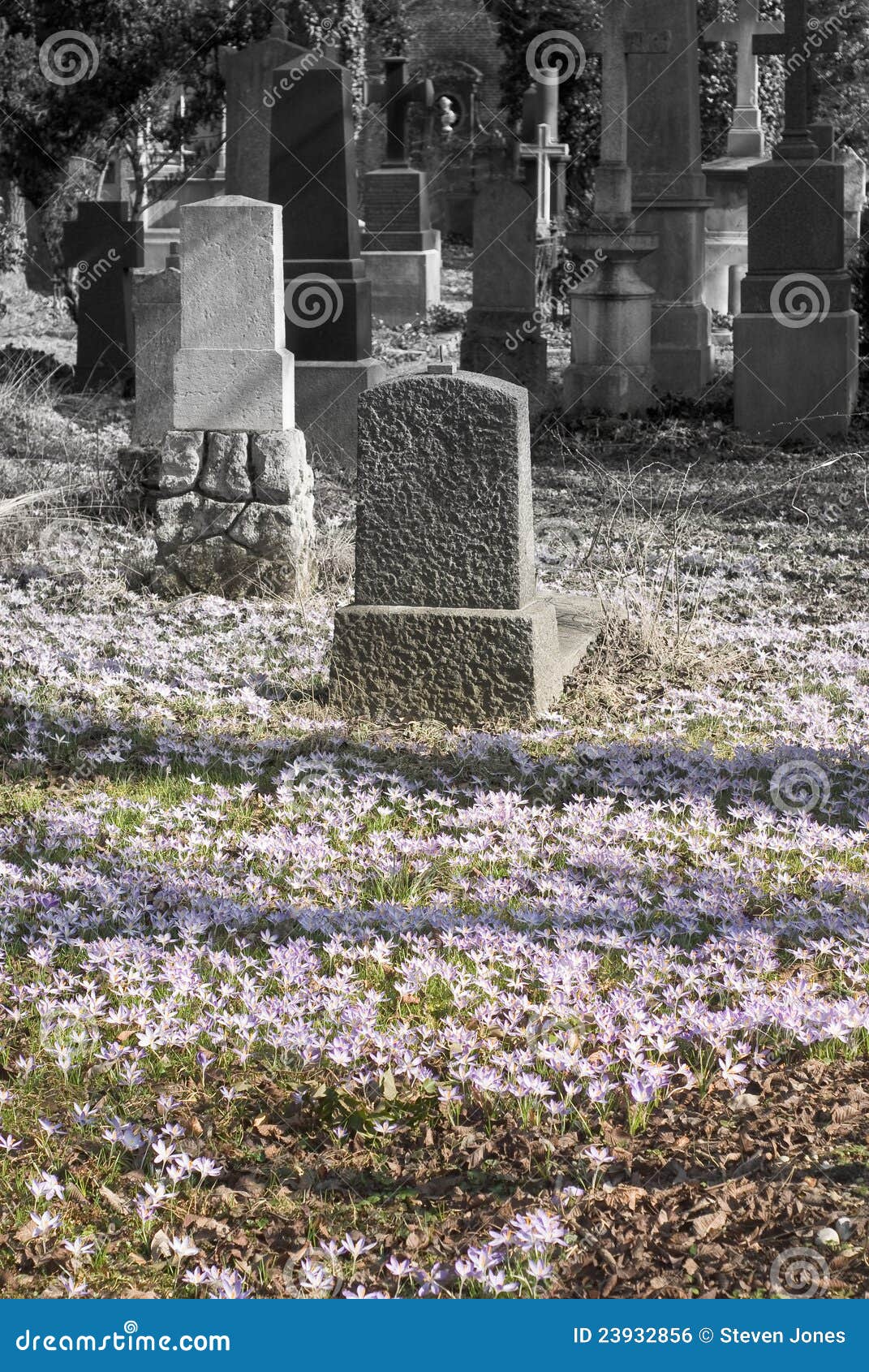 Graveyard in Spring stock photo. Image of gravestone - 23932856