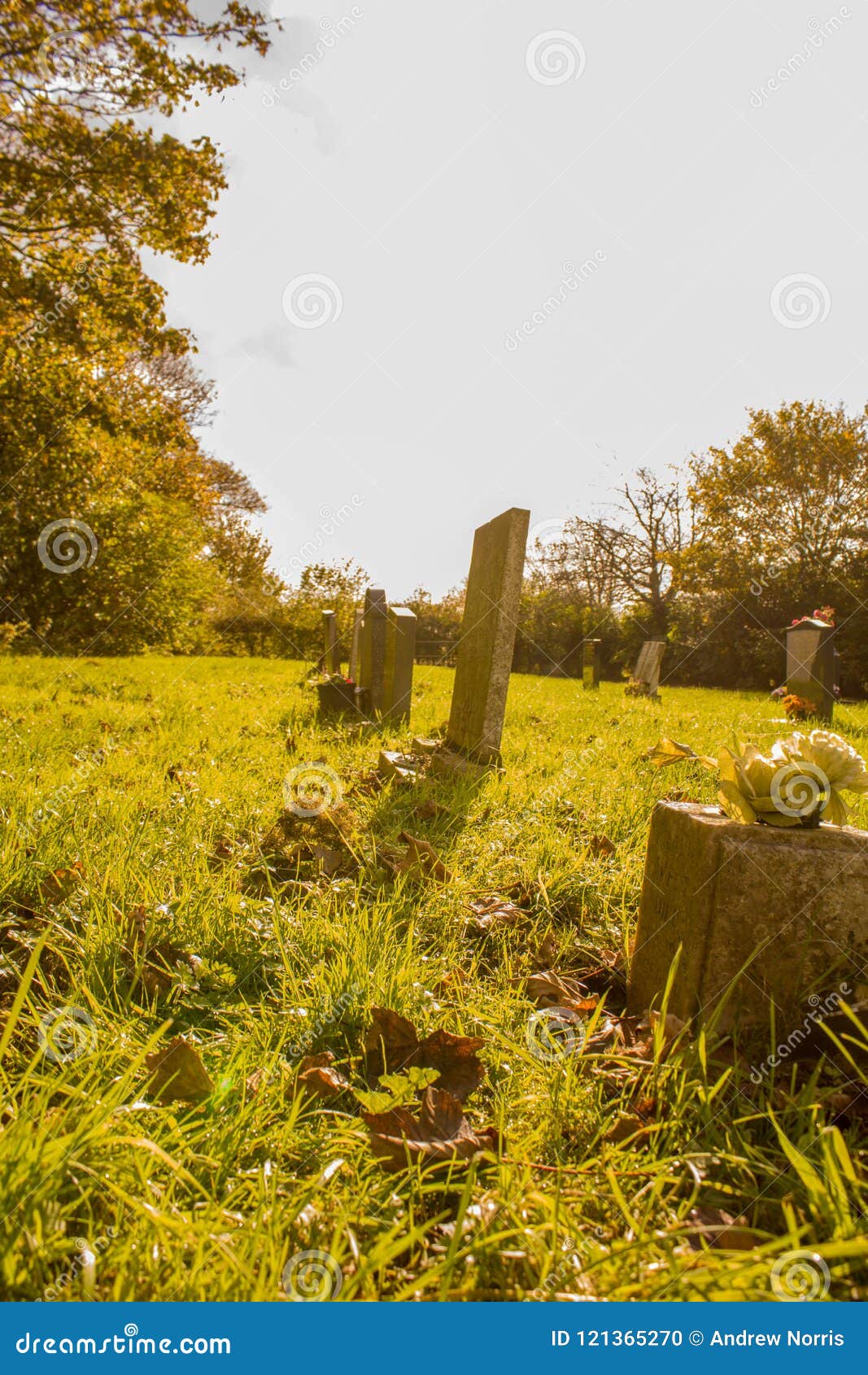 Old British Graveyard III - Mabe, Cornwall Royalty-Free Stock Photo ...