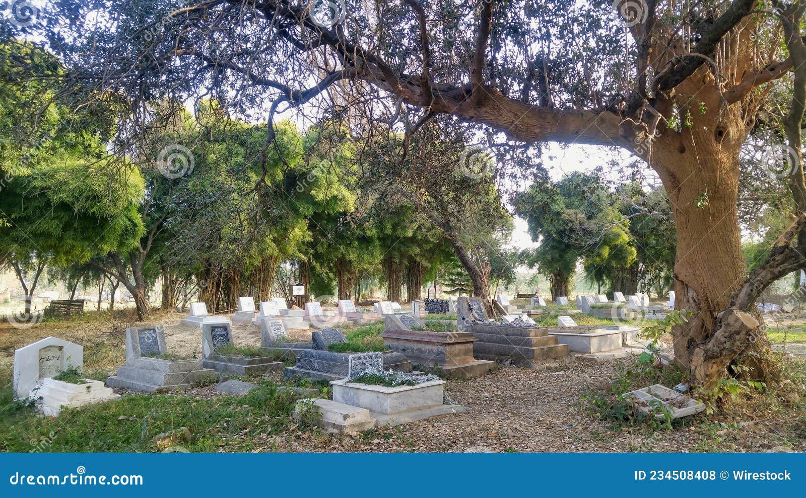 Graveyard Surrounded by Trees in the Village Stock Photo - Image of ...