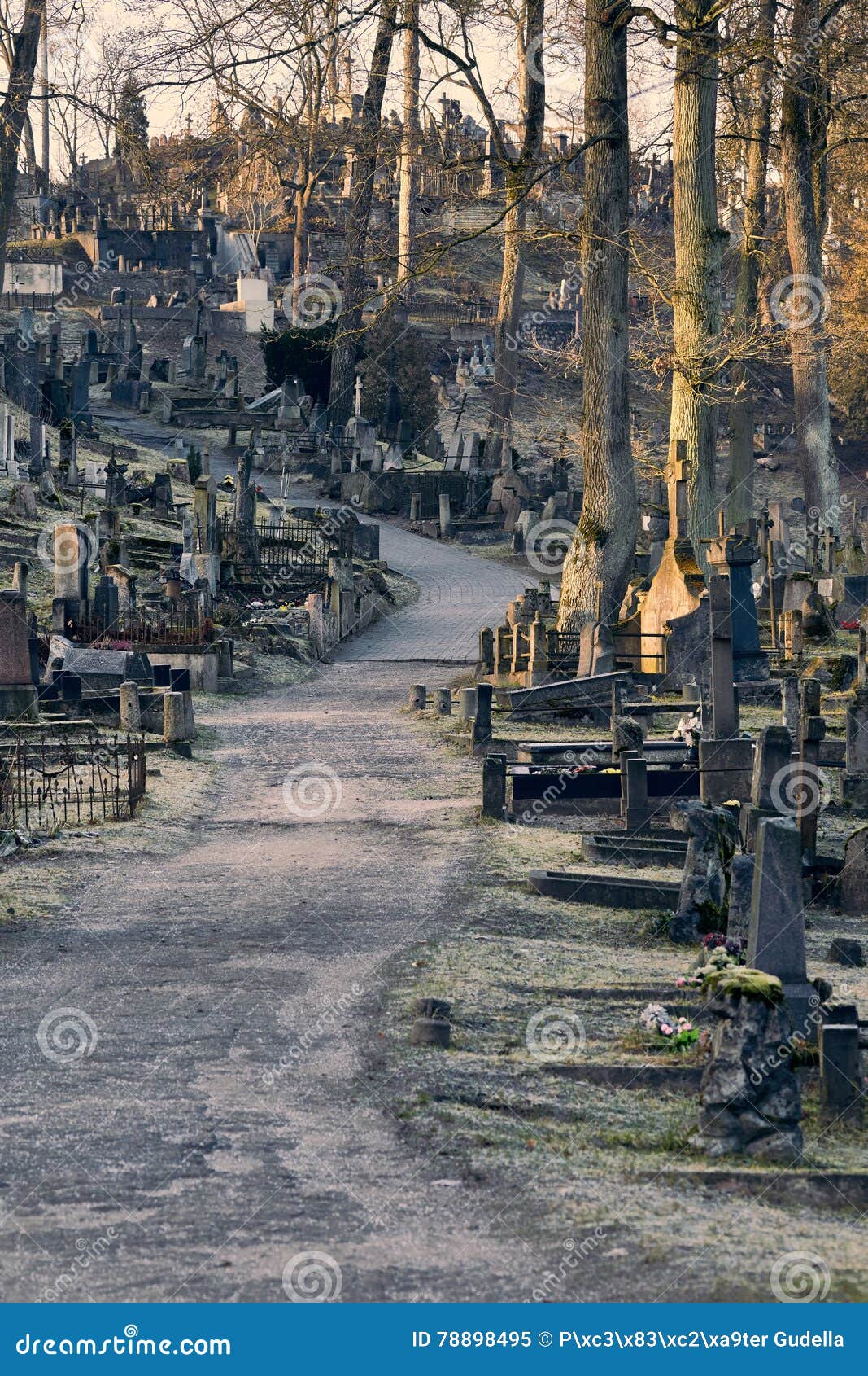 Graveyard with tombstones stock image. Image of burial - 78898495