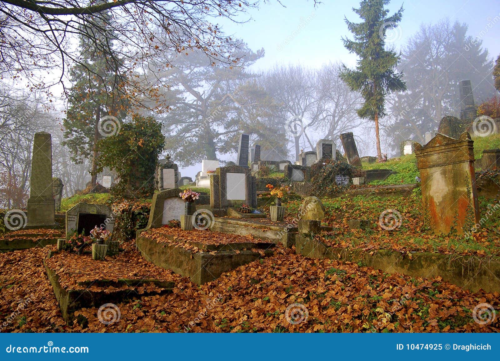 Pretty Graveyard