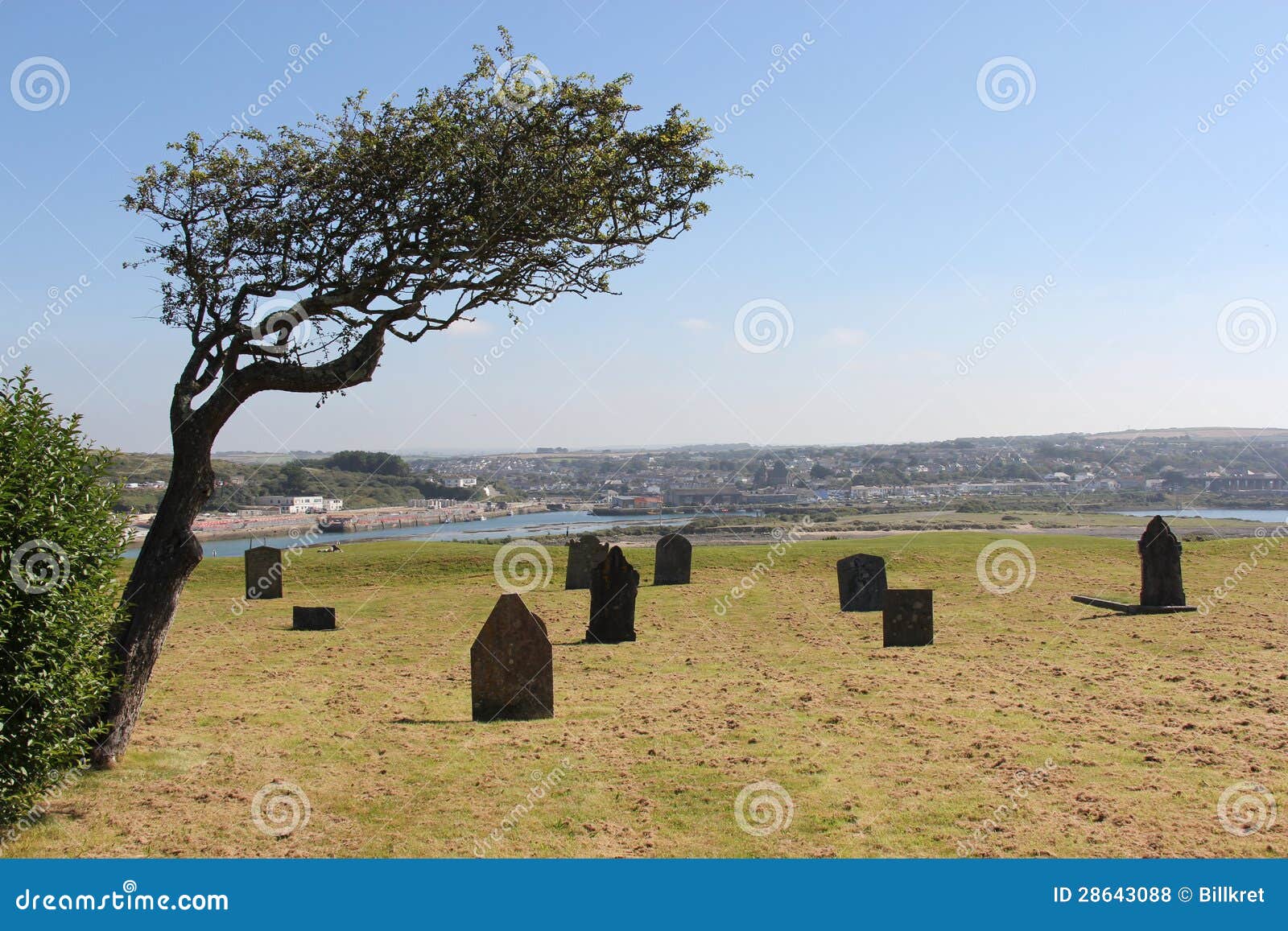 Graveyard under a tree stock photo. Image of graveyard - 28643088