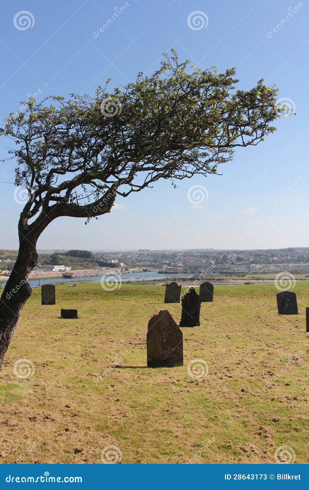 Graveyard under a tree stock image. Image of design, fear - 28643173