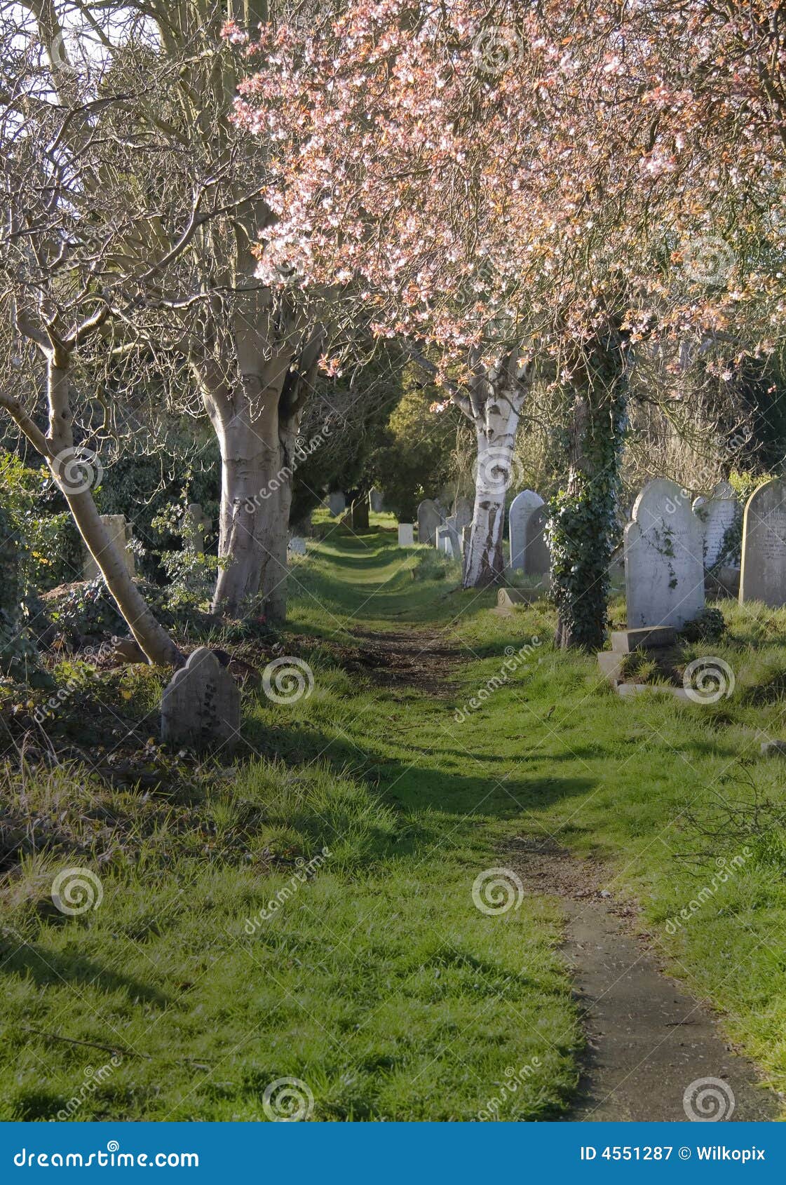 Graveyard Walkway stock image. Image of religious, graveyard - 4551287