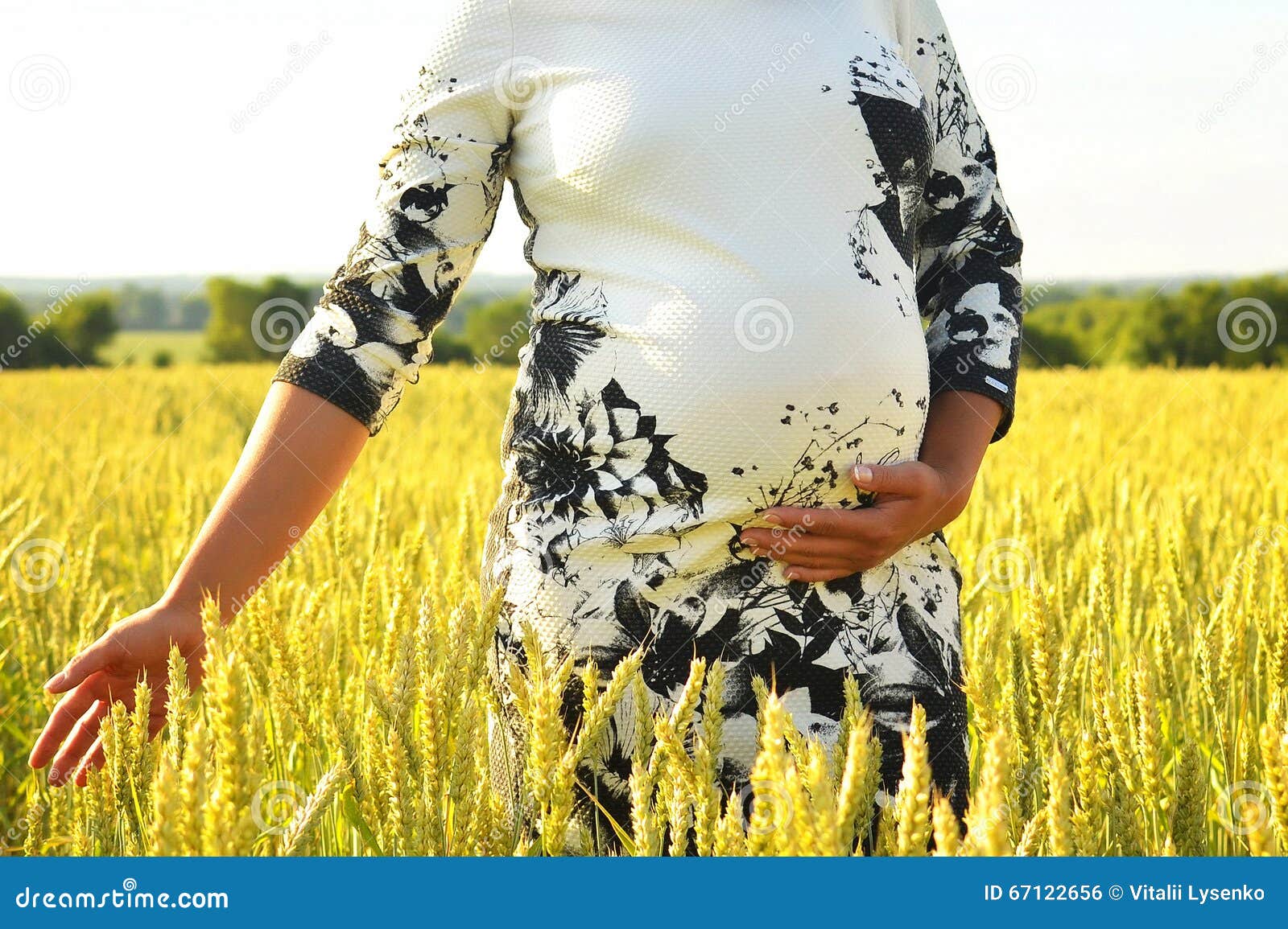 Gravidez e maternidade foto de stock. Imagem de prado - 67122656