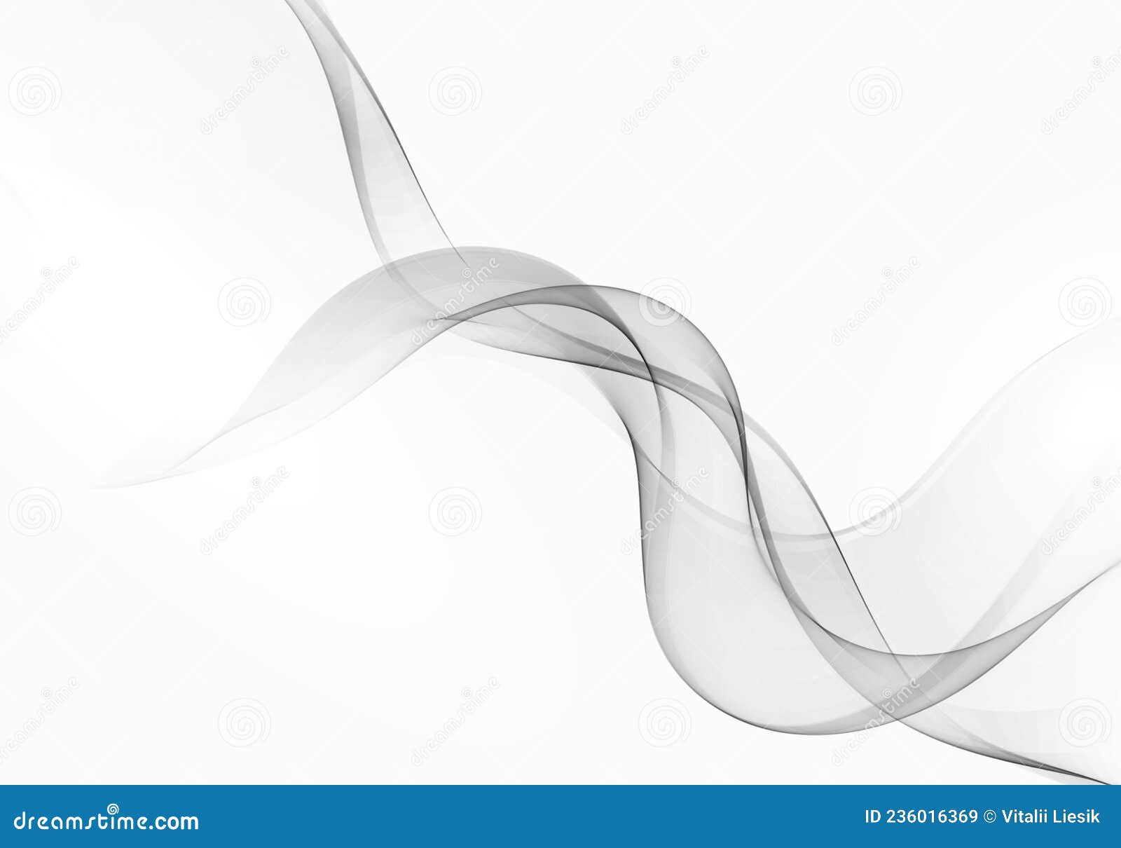 Gray Abstract Vector Wave Background. Wavy Gray Lines on a White ...
