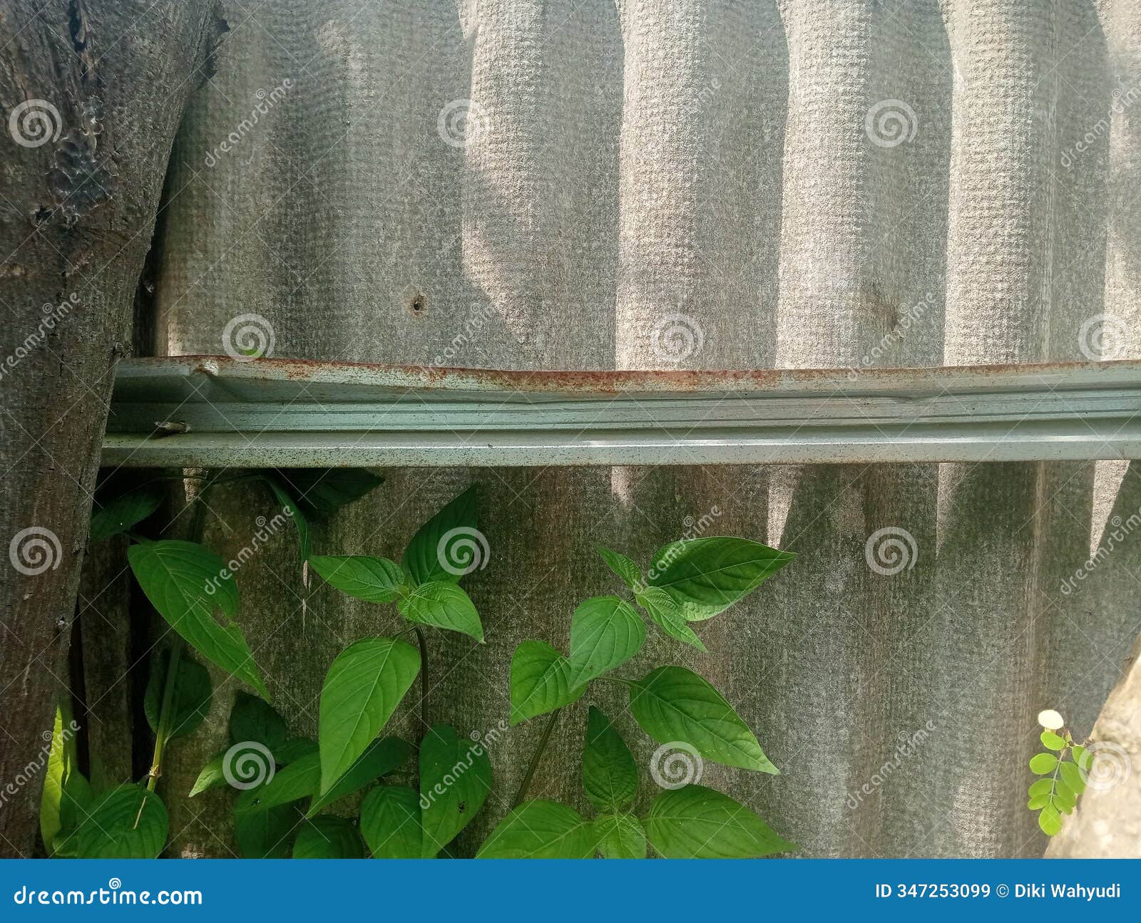 Gray Asbestos Texture with Spreading Leaves Stock Image - Image of gray ...