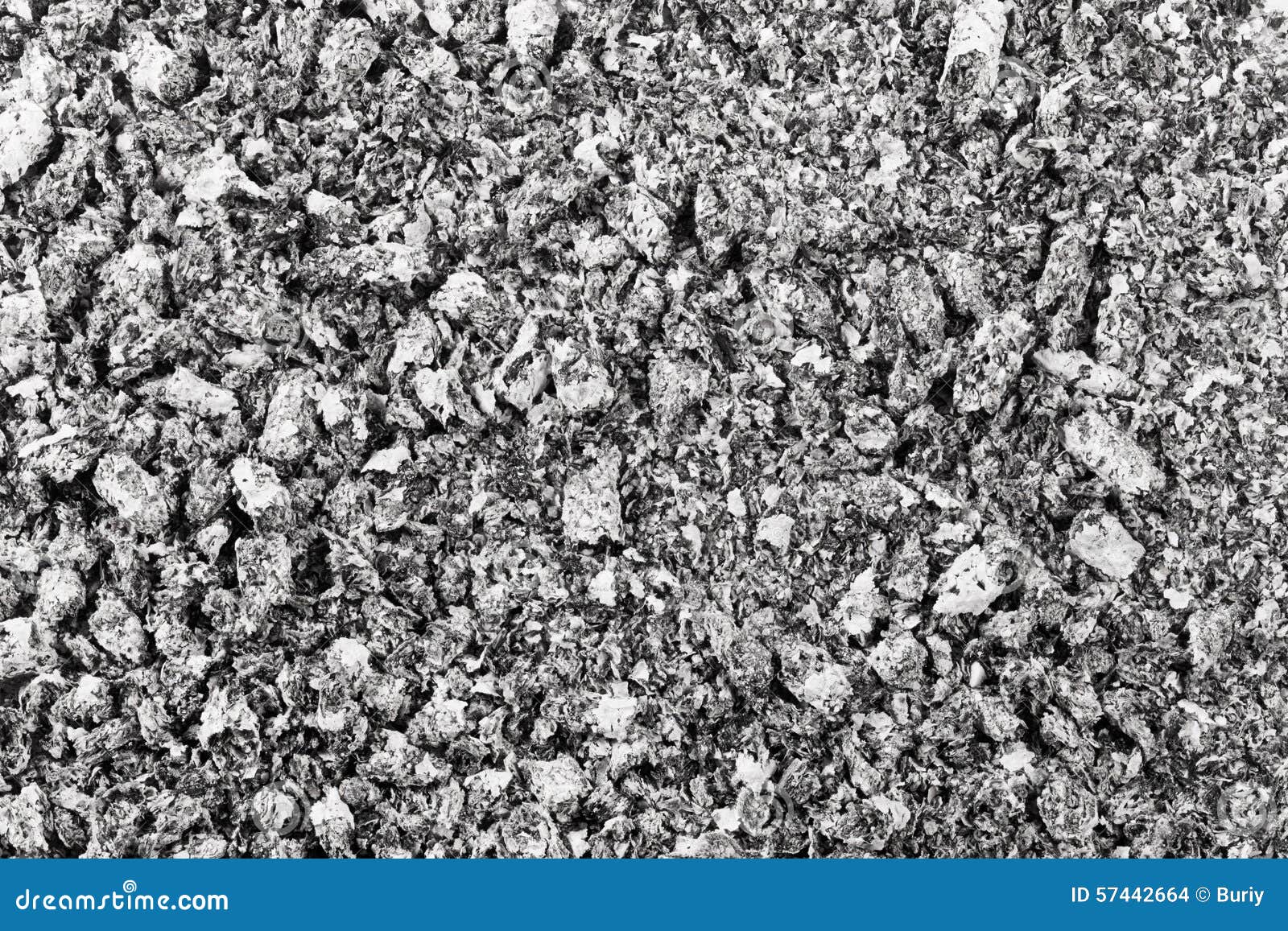 Gray ash stock photo. Image of cigarette, dirty, dust - 57442664