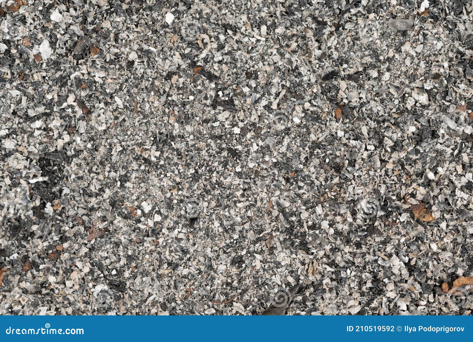 Gray Ash From Cigarettes Isolated On White Background. Cinder Texture ...