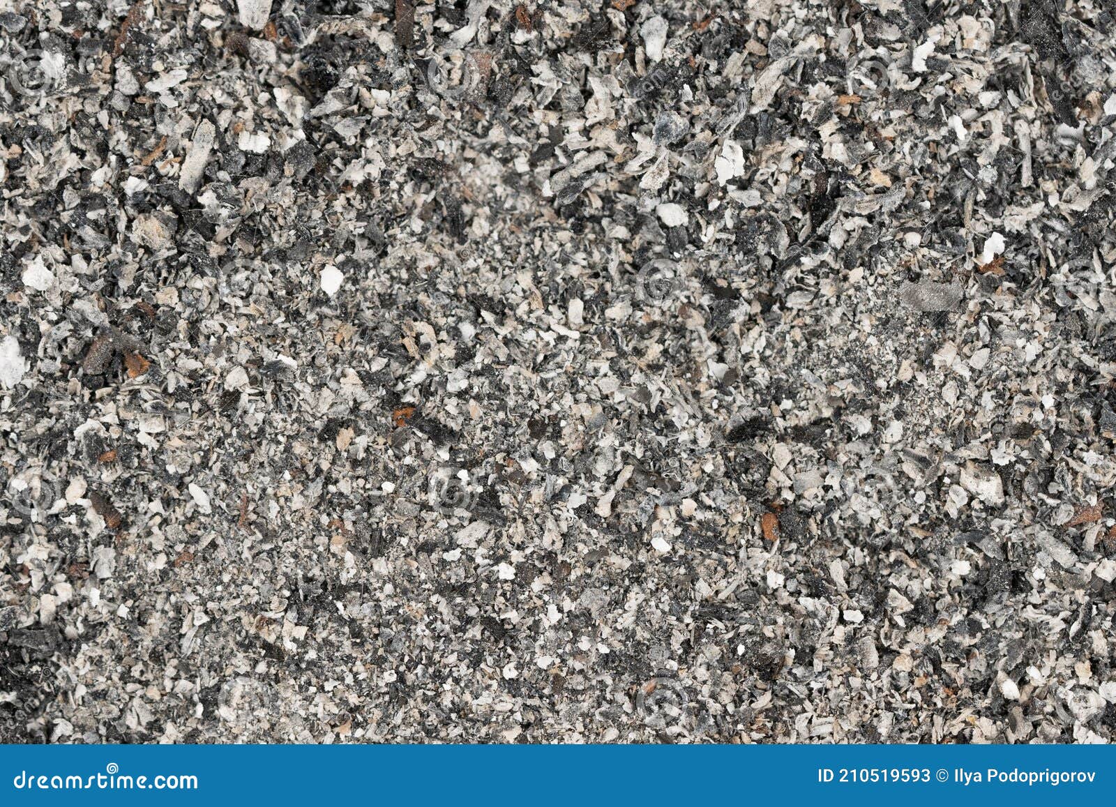 Gray Ash From Cigarettes Isolated On White Background. Cinder Texture ...