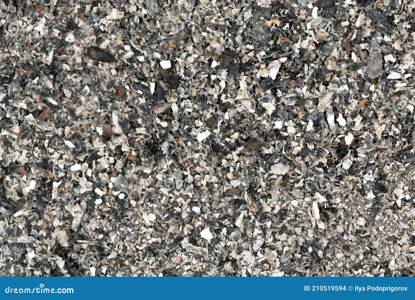 Gray Ash From Cigarettes Isolated On White Background. Cinder Texture ...