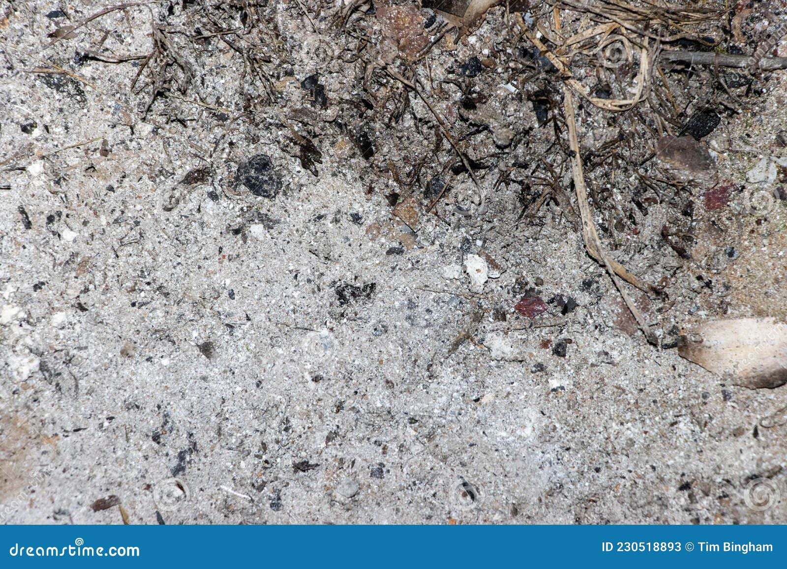 Ash and Dirt Mixed on the Ground Stock Image - Image of dirt, rust ...