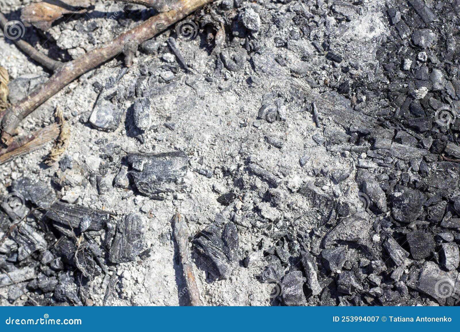 Gray Ash on the Ground from a Fire in Nature, Coal, Gray Ash from ...