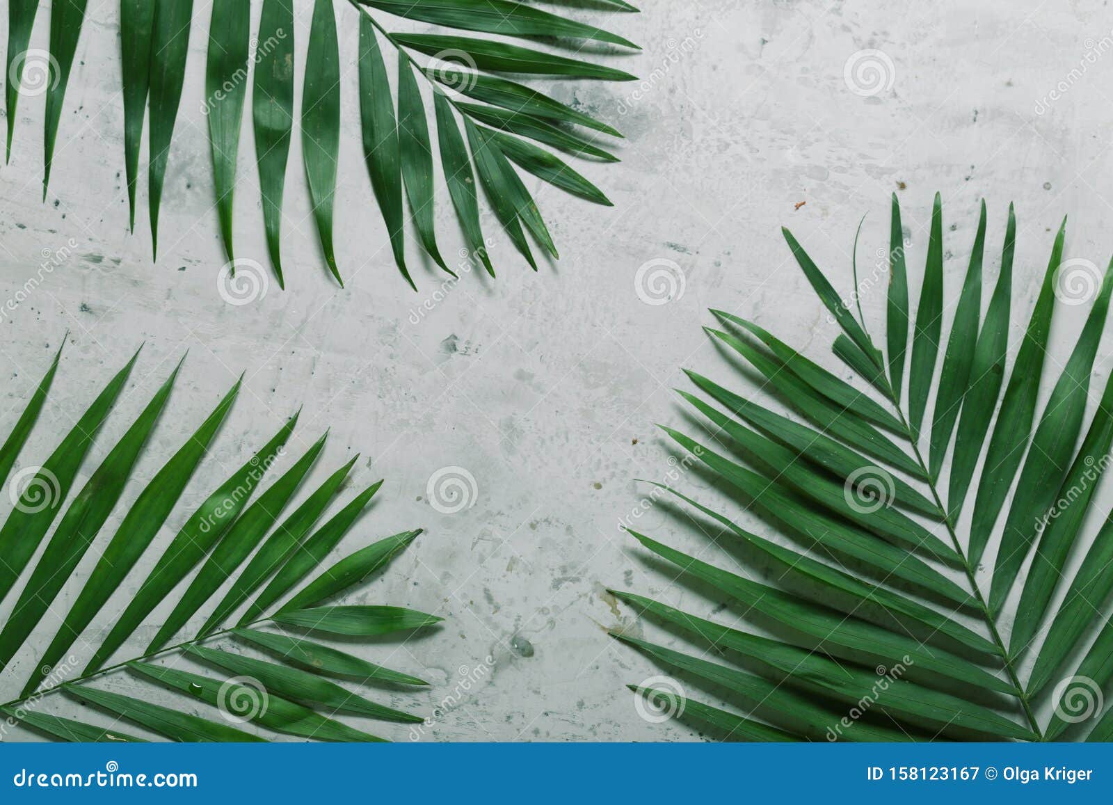 Gray Background with Leaves Stock Image - Image of leaves, composition ...