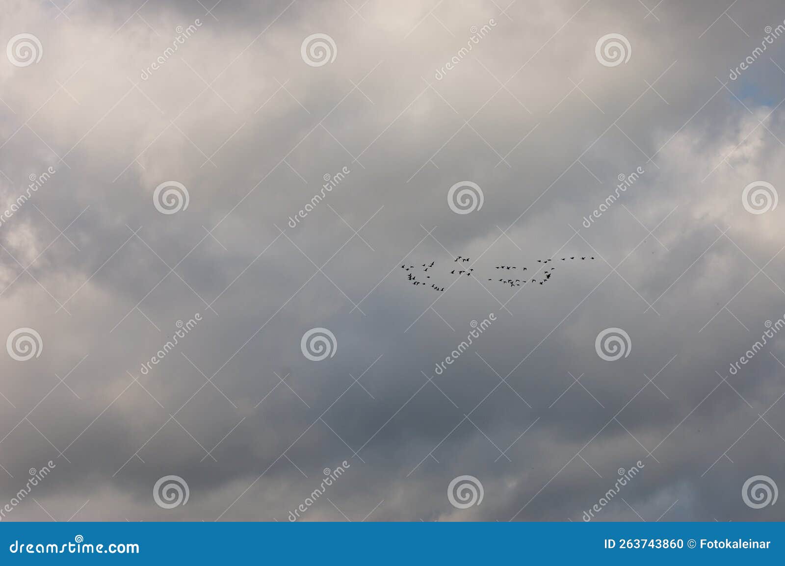 Gray Background,in the Photo Gray Sky and Gray Clouds Bottom View Stock ...