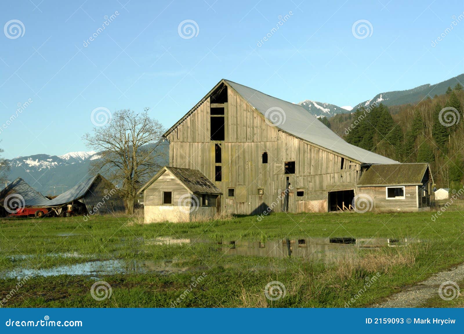 Gray Barn stock image. Image of field, torn, broken, land - 2159093