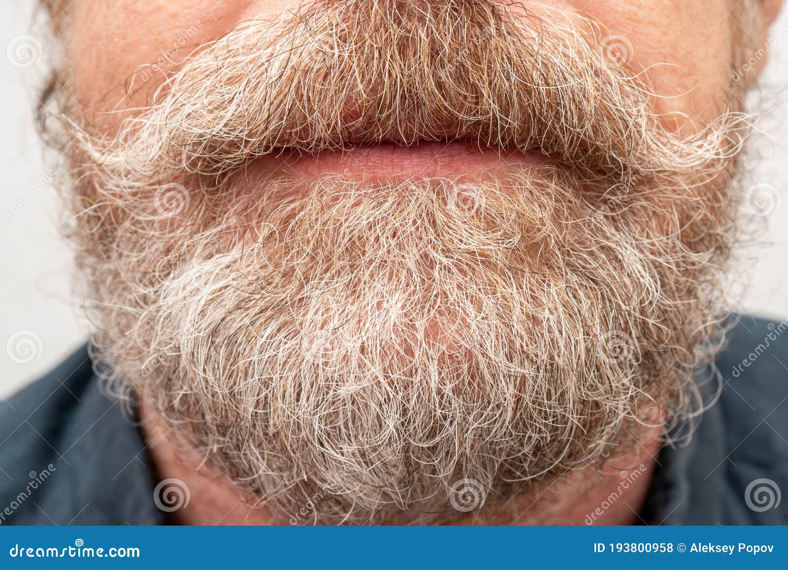 Gray Beard and a Twisted Mustache Stock Photo - Image of adult, stylish ...