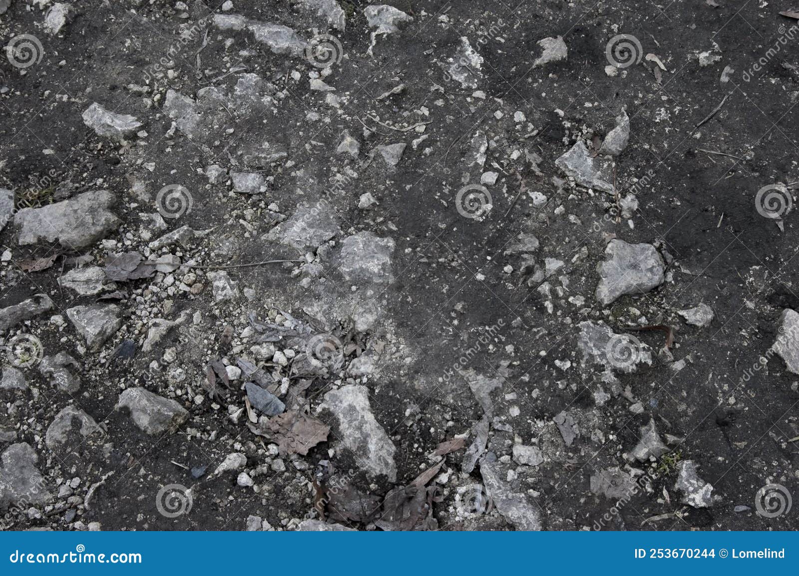 Gray dry soil with stones stock photo. Image of soil - 253670244