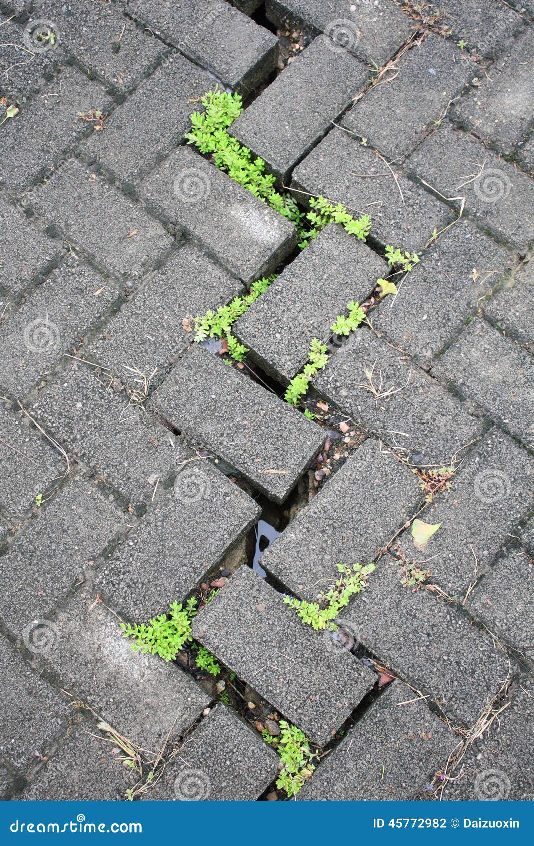 Gray brick and grass stock photo. Image of gray, weed - 45772982