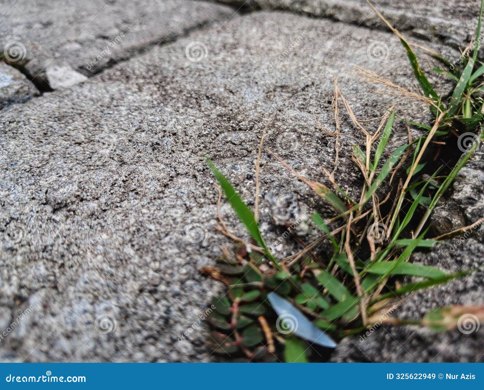 Gray Bricks on the Ground for Road Road. Sidewalk, Driveway, Sidewalk ...