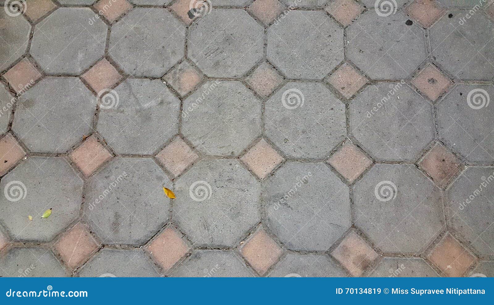 Gray bricks paving stones stock image. Image of grey - 70134819