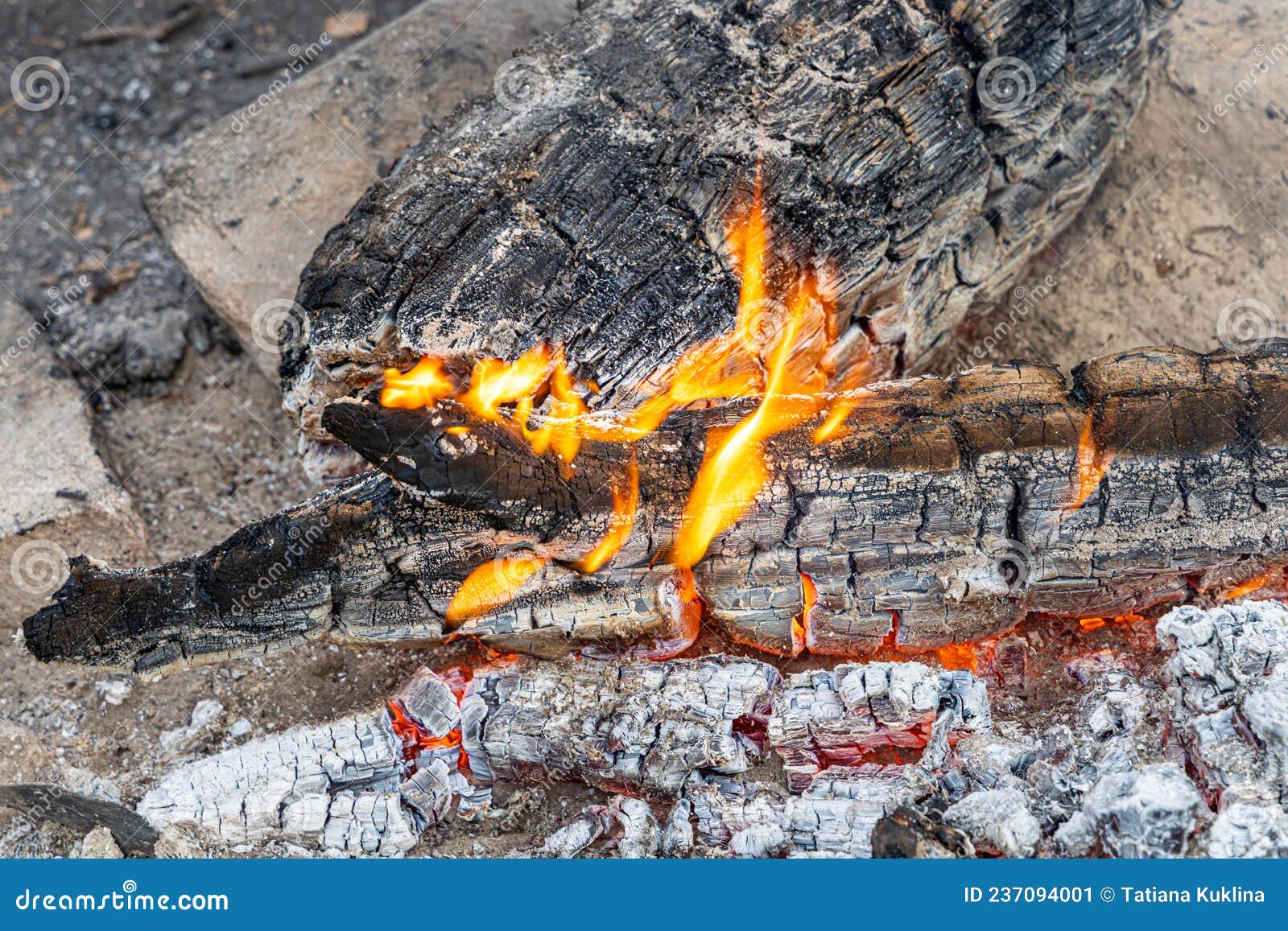 Gray Burning Trunks for a Bonfire are in a Fireplace in the Forest ...