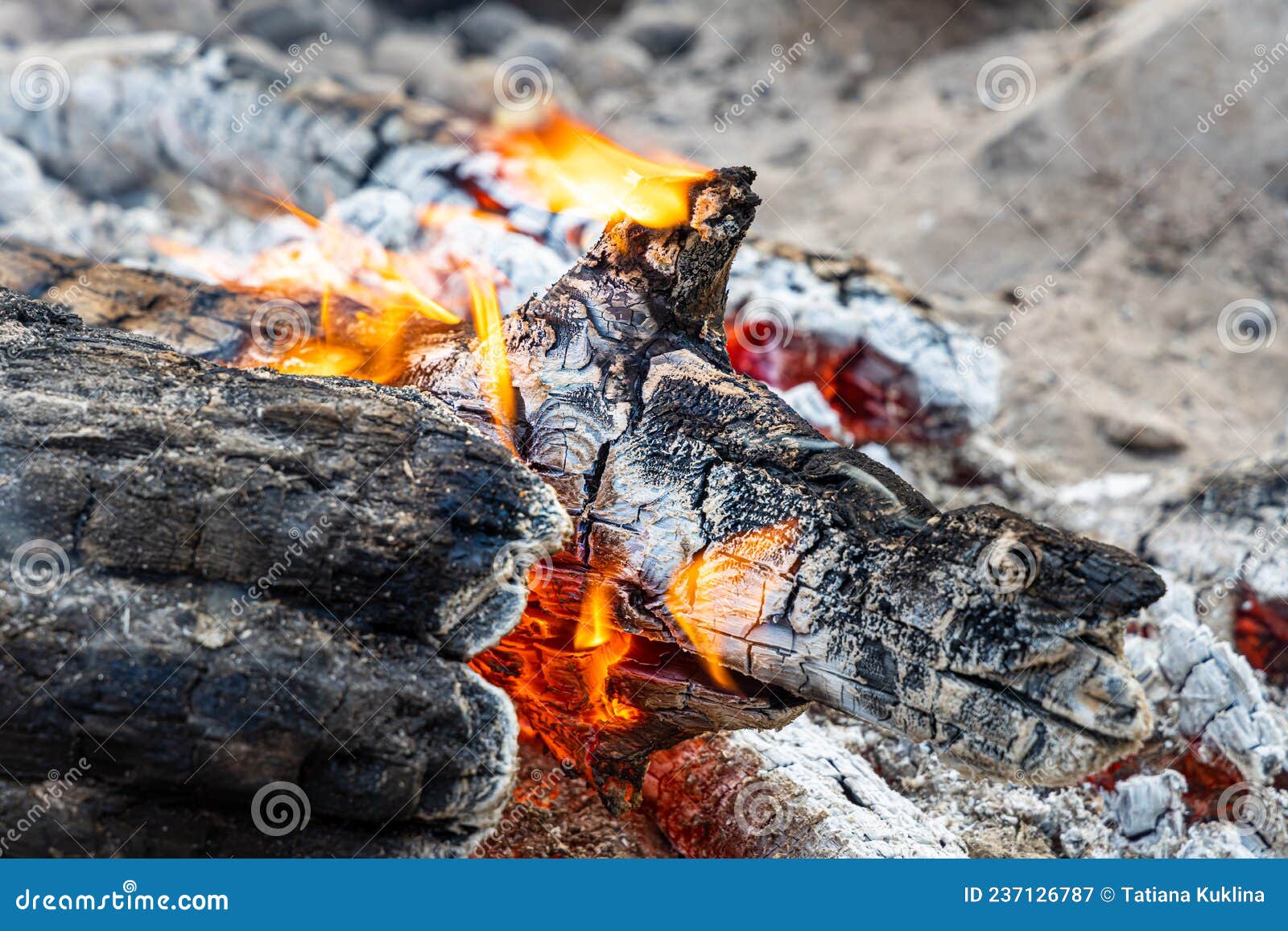 Gray Burning Trunks for a Bonfire are in a Fireplace in the Forest ...