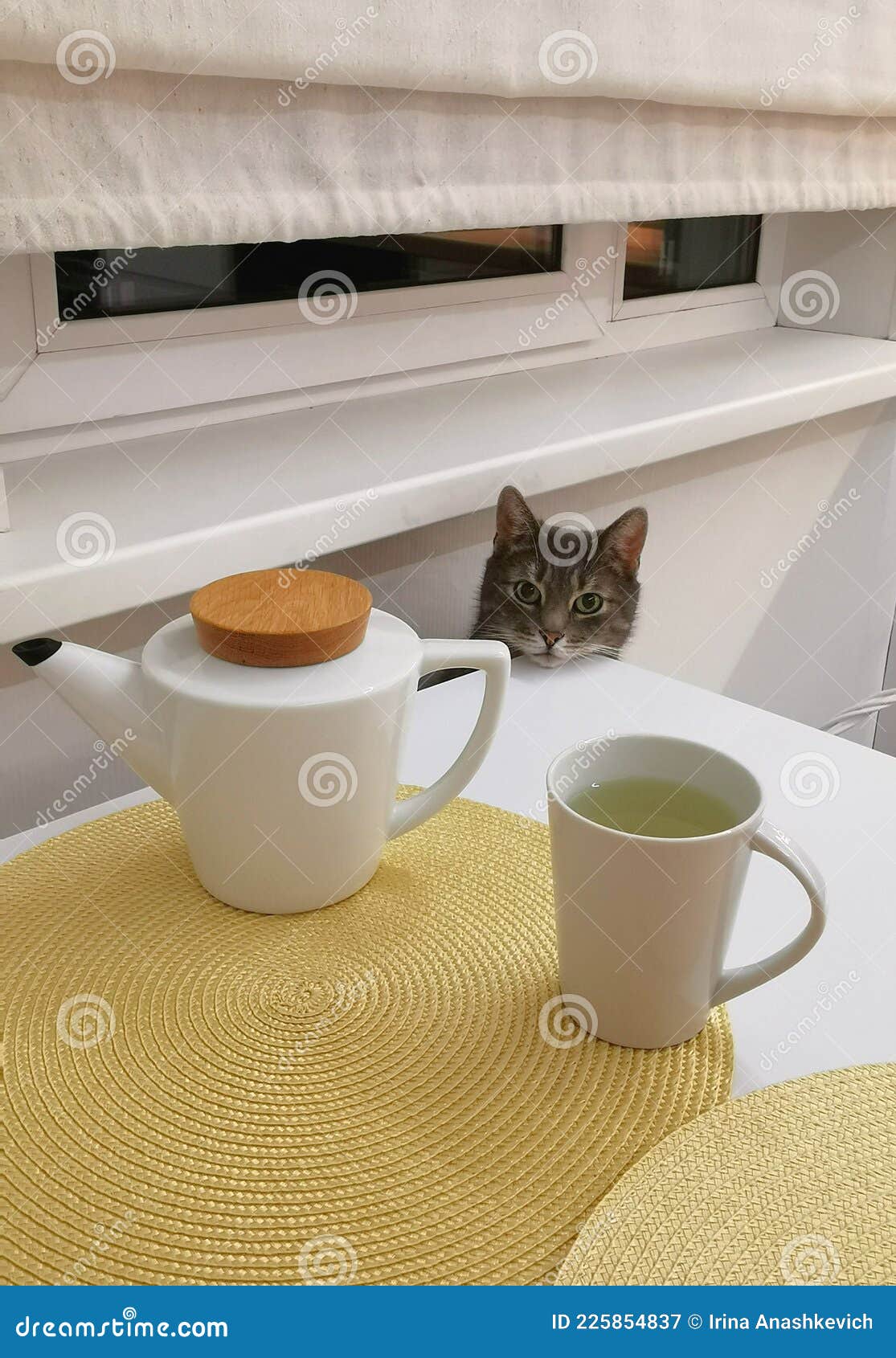 Gray Cat at the White Kitchen Table. Tea Drinking with a Cat Stock ...