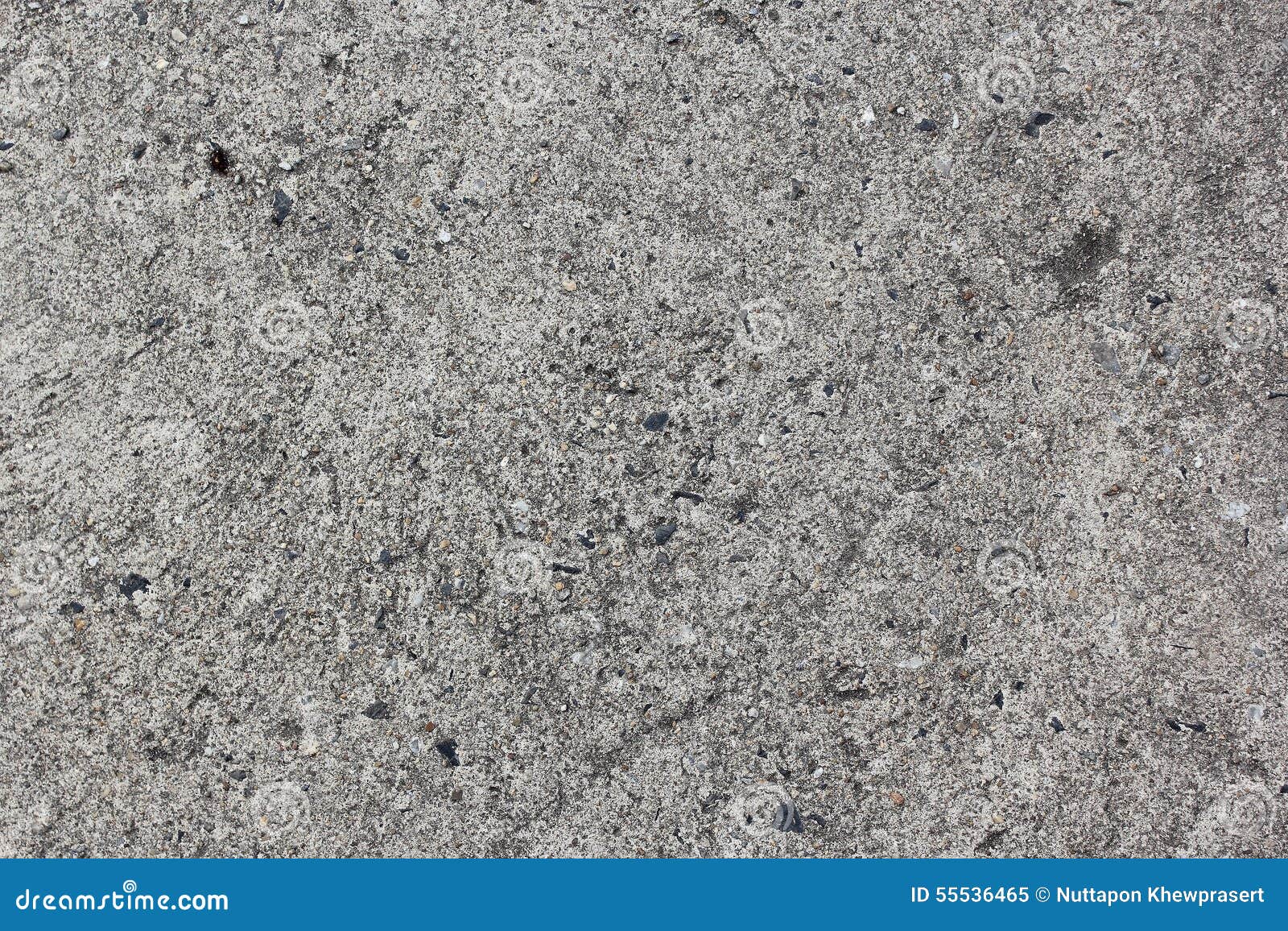 Gray cement texture stock image. Image of building, cement - 55536465