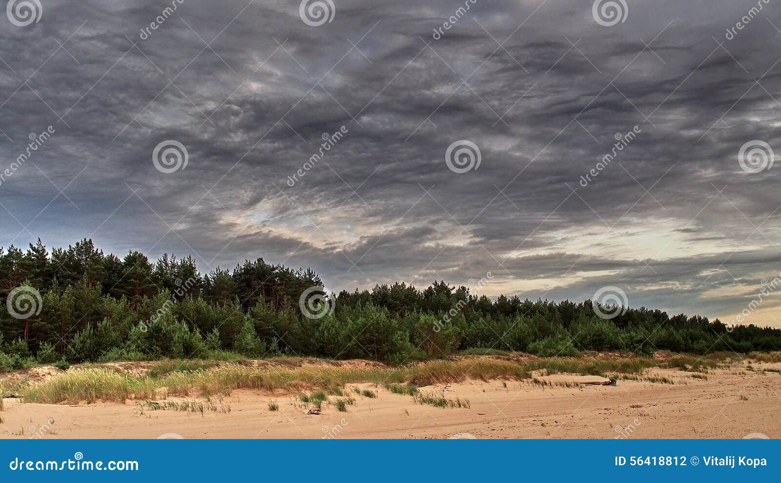 Storm clouds over forest stock photo. Image of storm - 56418812