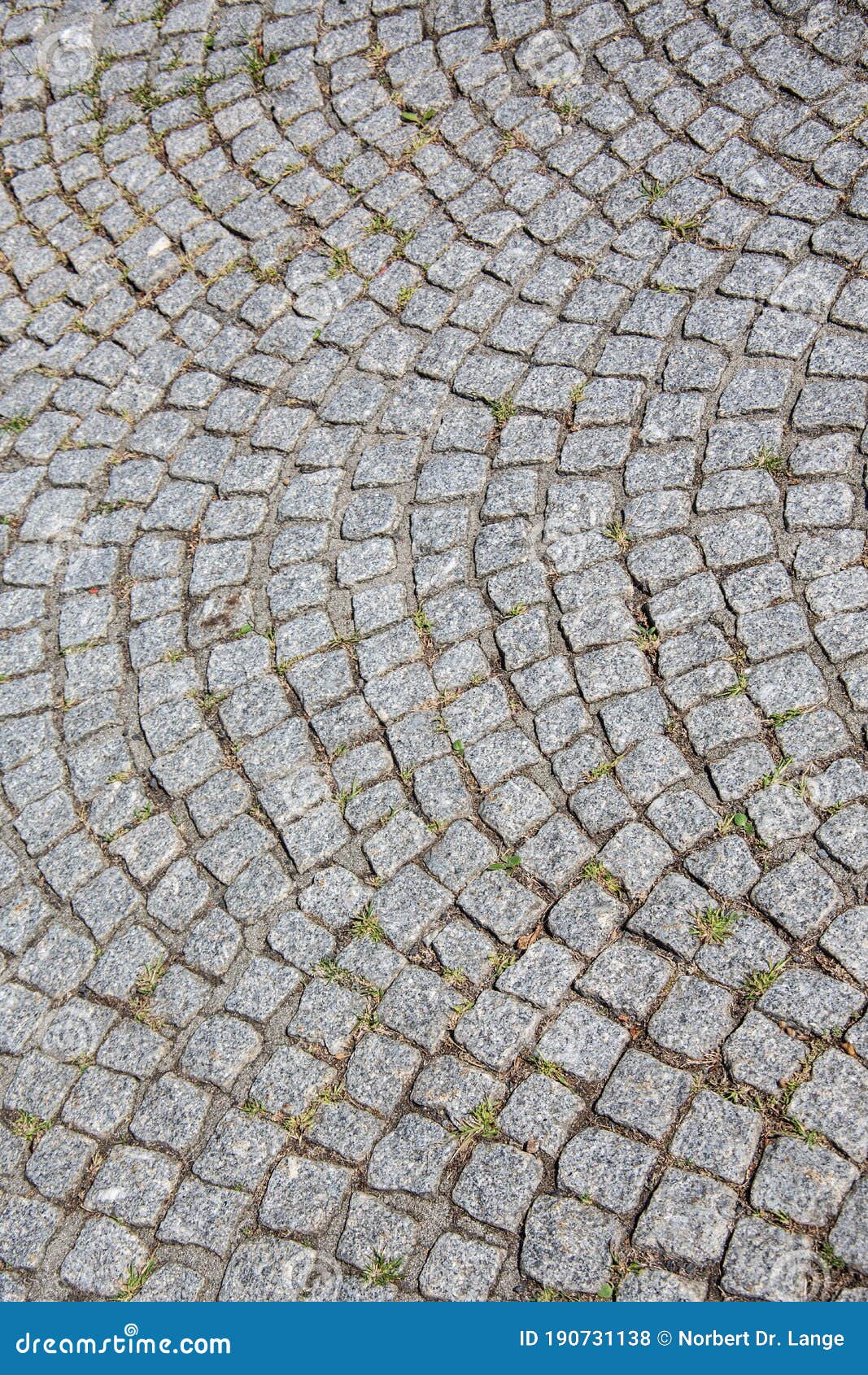 Gray Concrete Paving Slabs on the Sidewalk Stock Photo - Image of ...