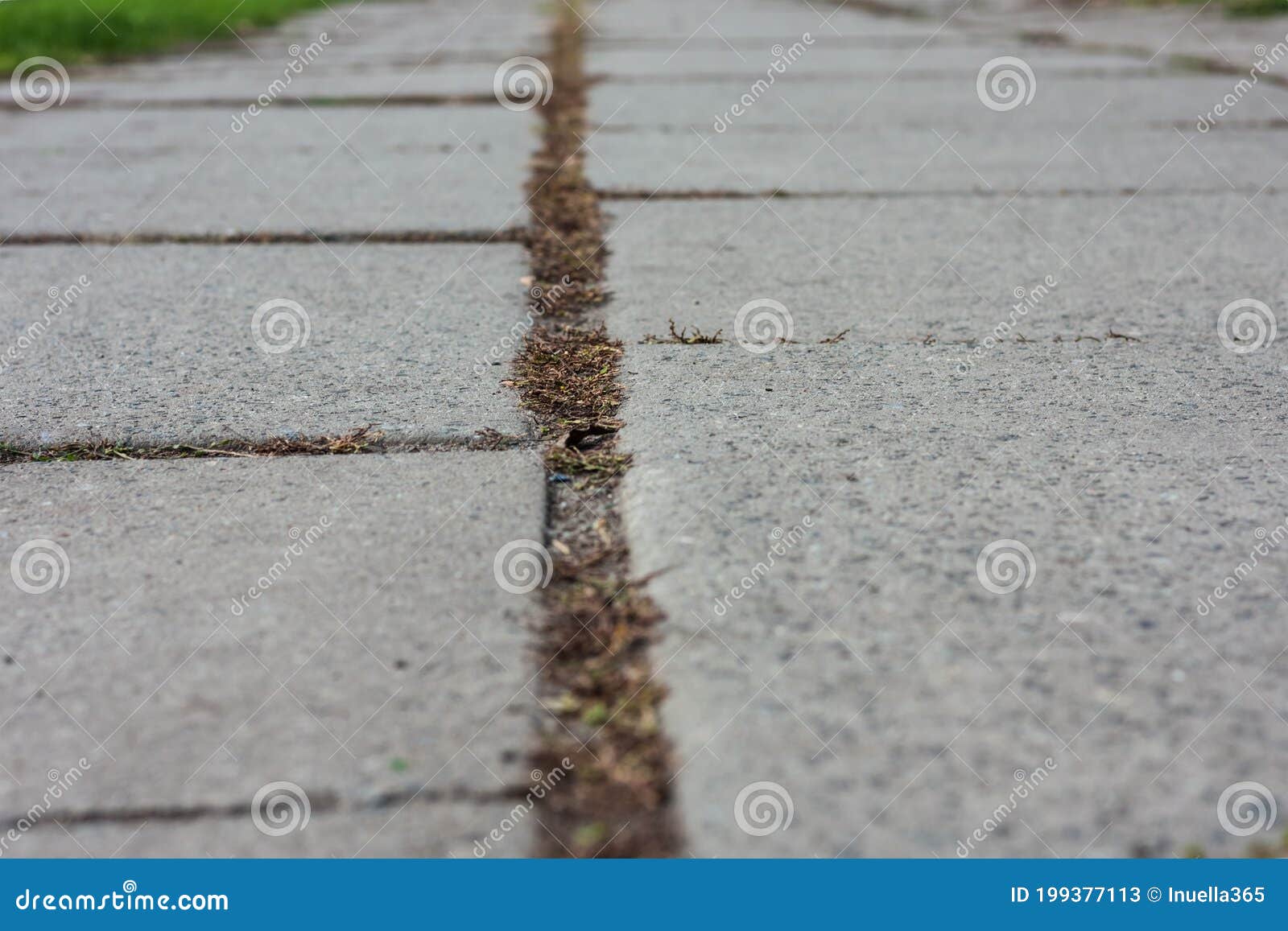 Gray Concrete Slabs - Walkway in the Park Close Up Background Stock ...