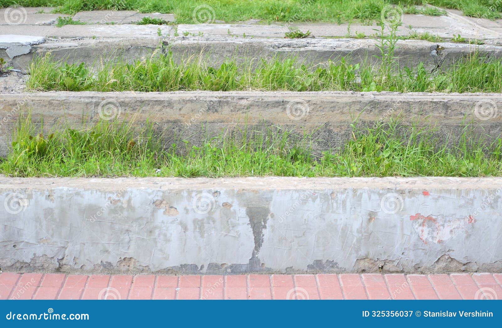 Gray Concrete Steps Overgrown with Green Grass Stock Image - Image of ...