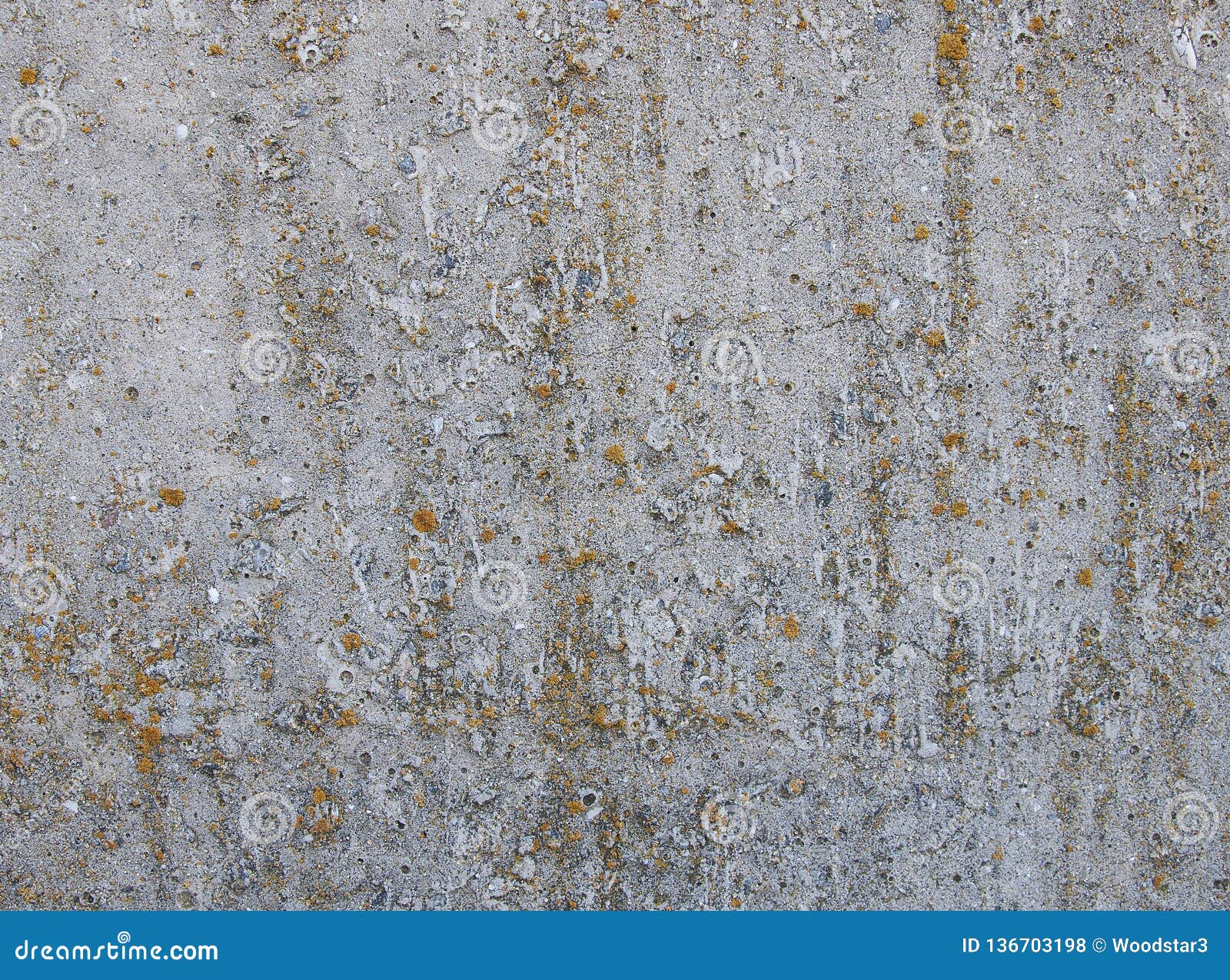 Background Texture of Concrete. Grey Color . Stock Photo - Image of ...