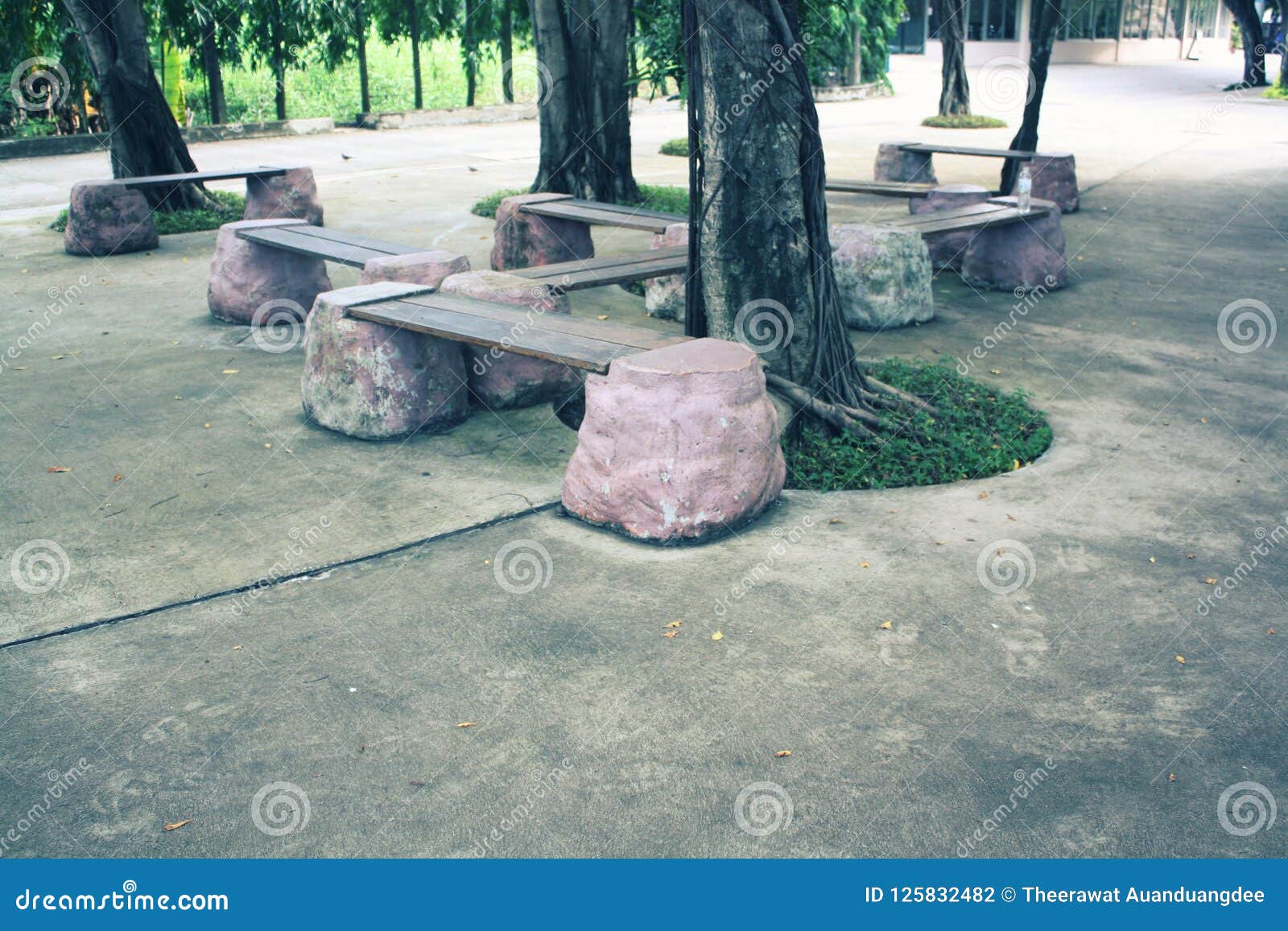 Gray Concrete Walkway with Tree and Tree Side Seating. Stock Photo ...
