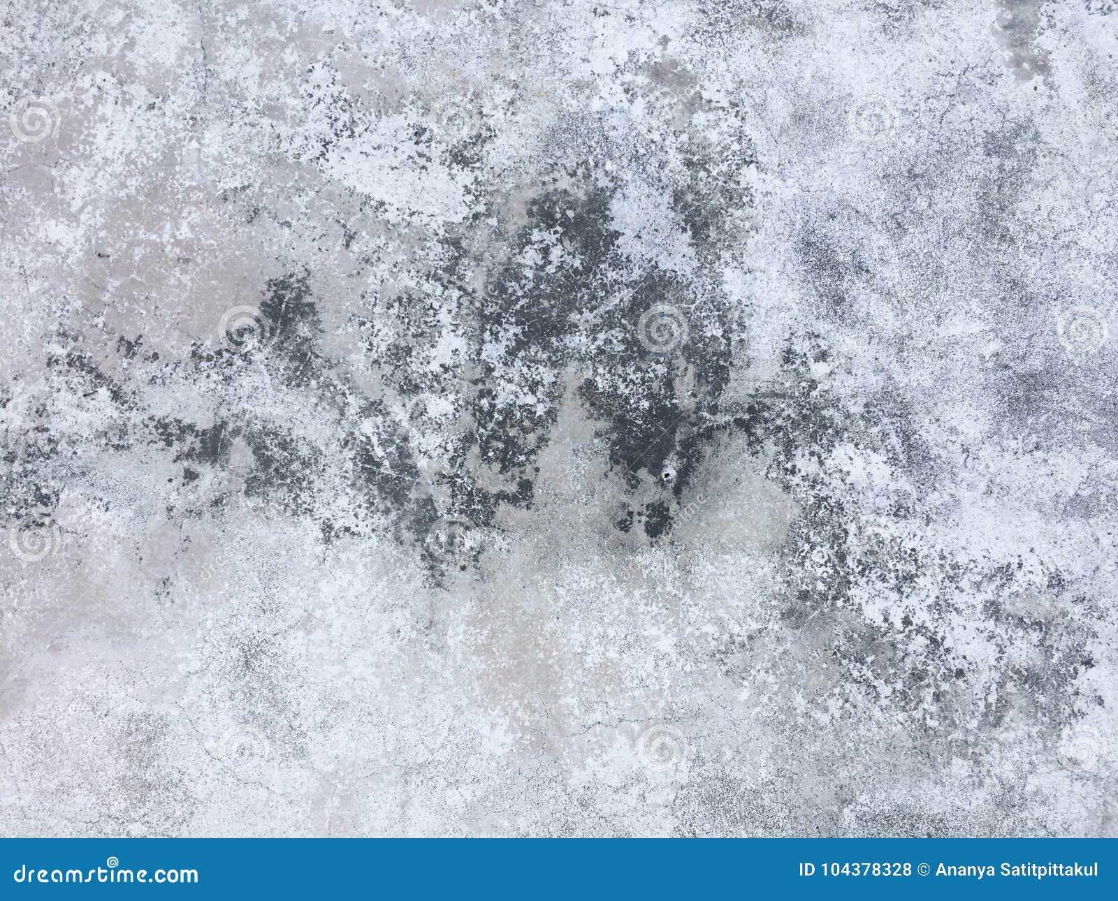 Gray Concrete Wall Background Cement Cracked Texture Pattern Spider Web ...