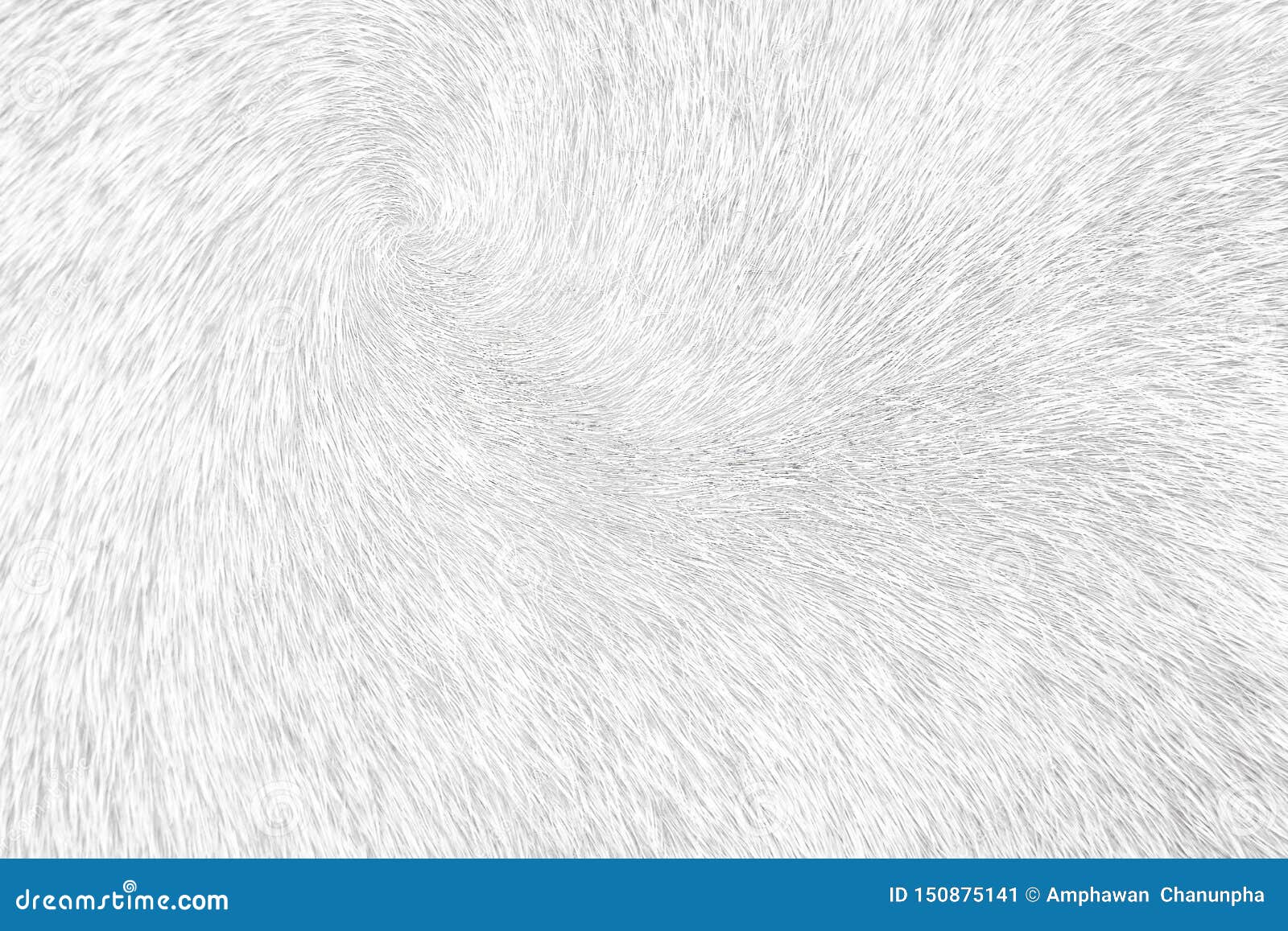Gray Cow Fur Patterns Abstract Texture for Background Stock Image ...