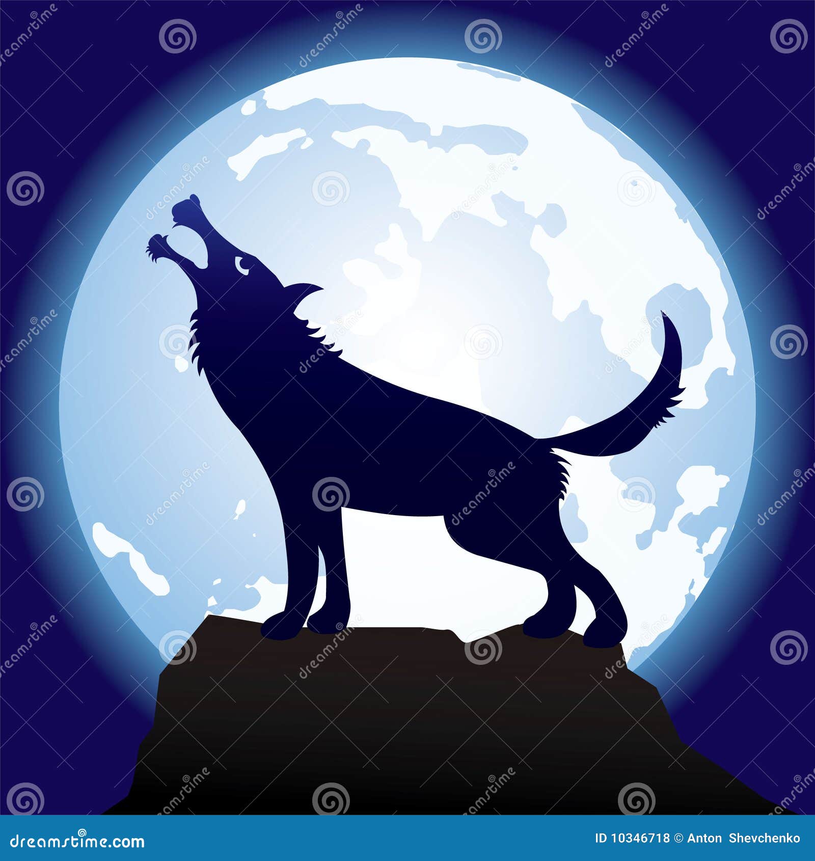 Gray-cruel-wolf stock vector. Illustration of creation - 10346718