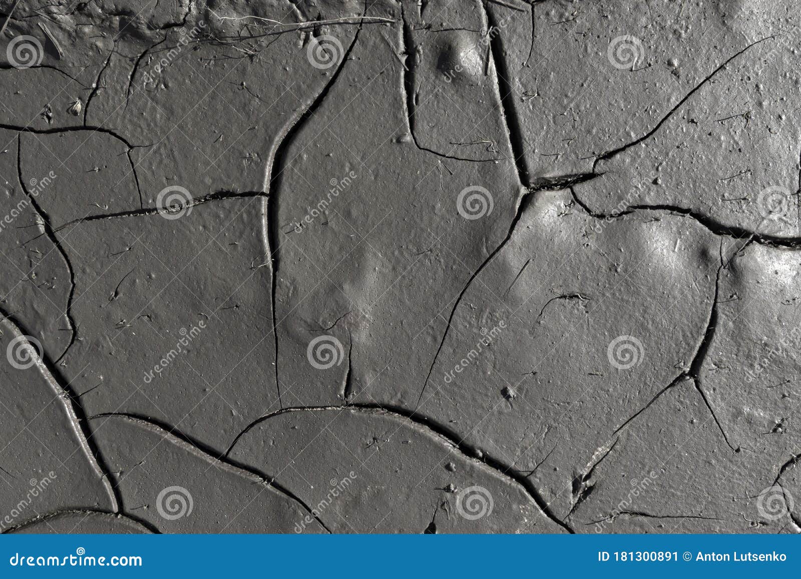 Gray Dry Land in the Cracks Stock Image - Image of land, cracks: 181300891