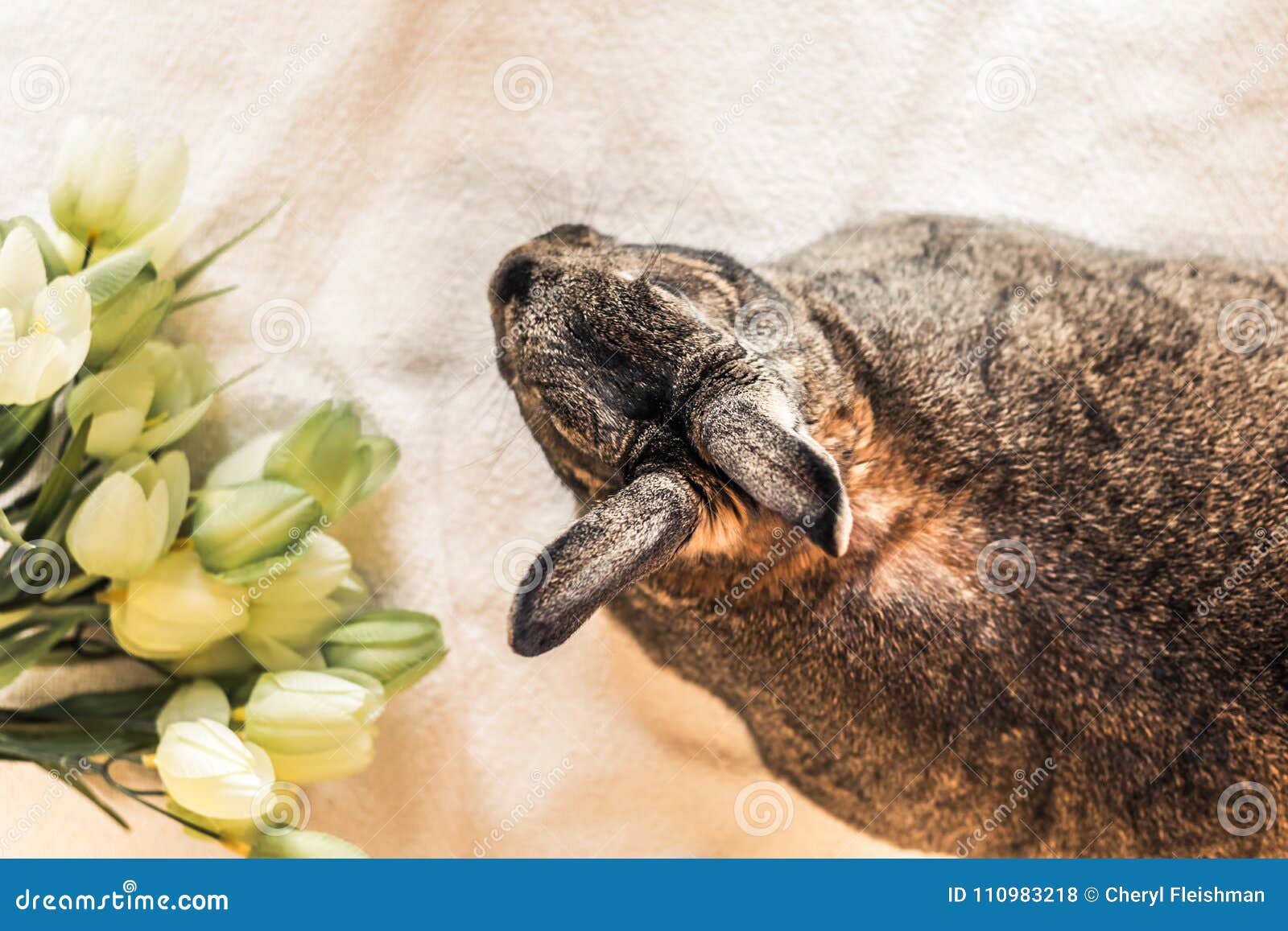 Gray Easter Bunny Rabbit Next To Spring Flowers in Vintage Setting, Top ...