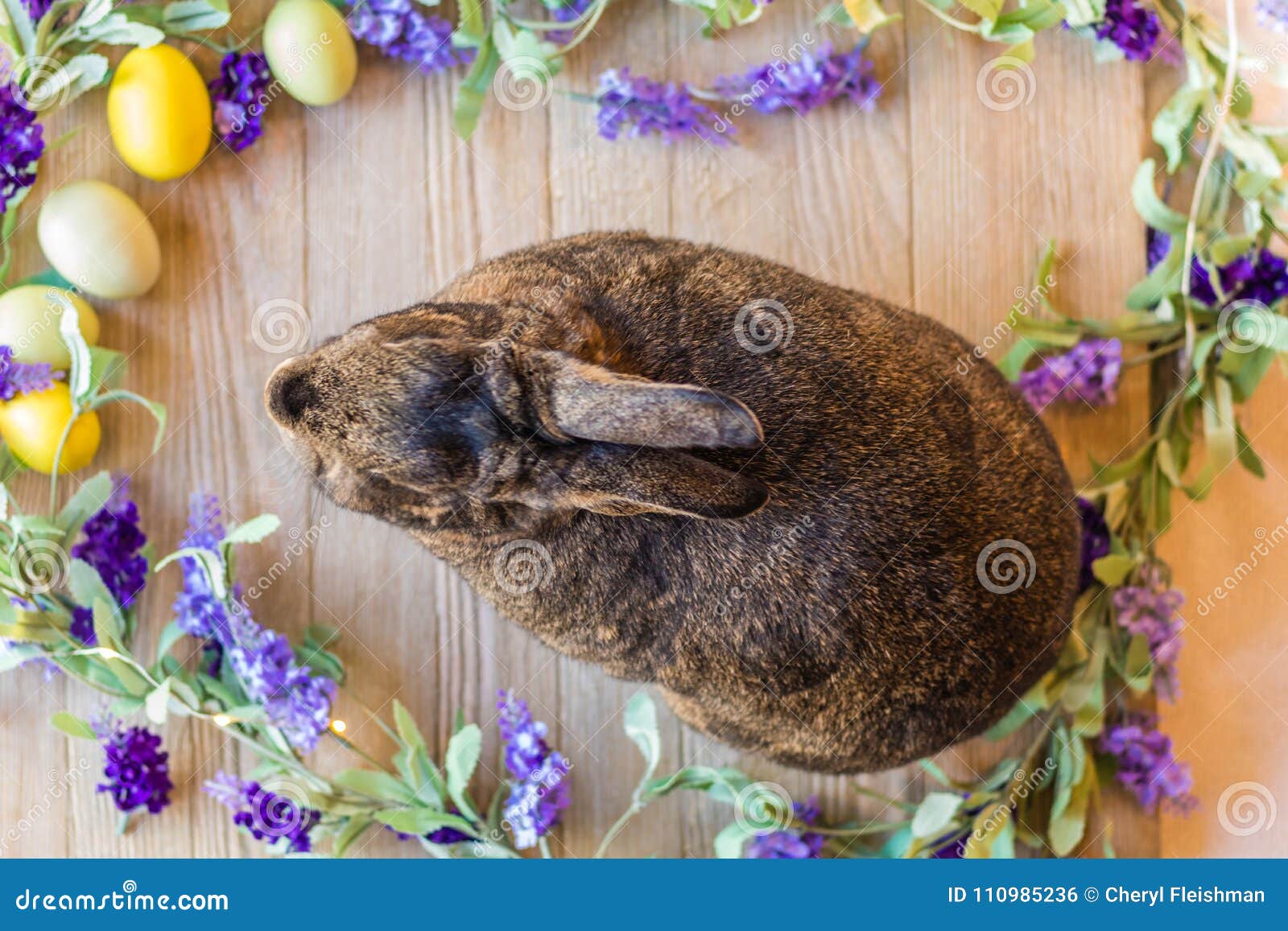 Gray Easter Bunny Rabbit with Purple Spring Lilac Flowers and Eggs on ...