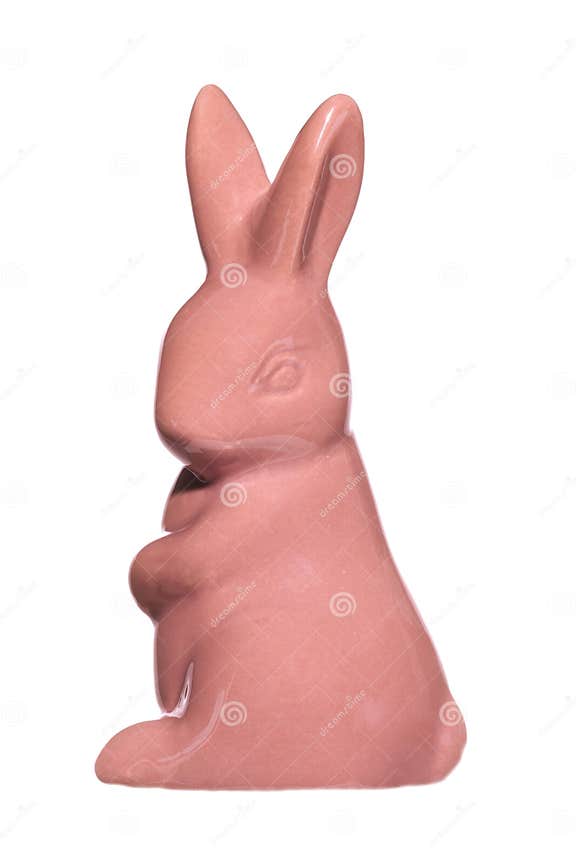 Easter Bunny on White Background Stock Photo - Image of muscle, head ...