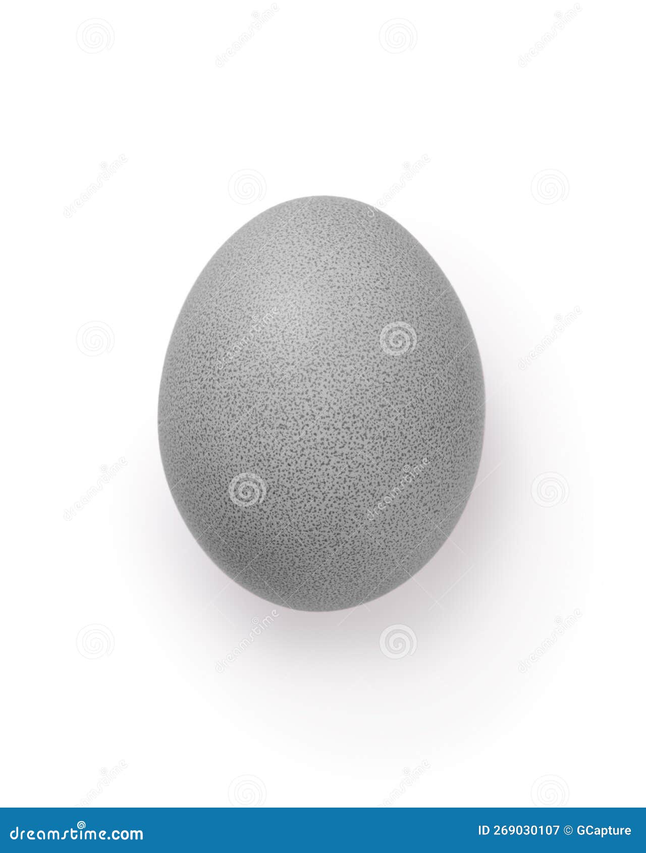 Gray Easter Egg Isolated on White Background Stock Image - Image of ...
