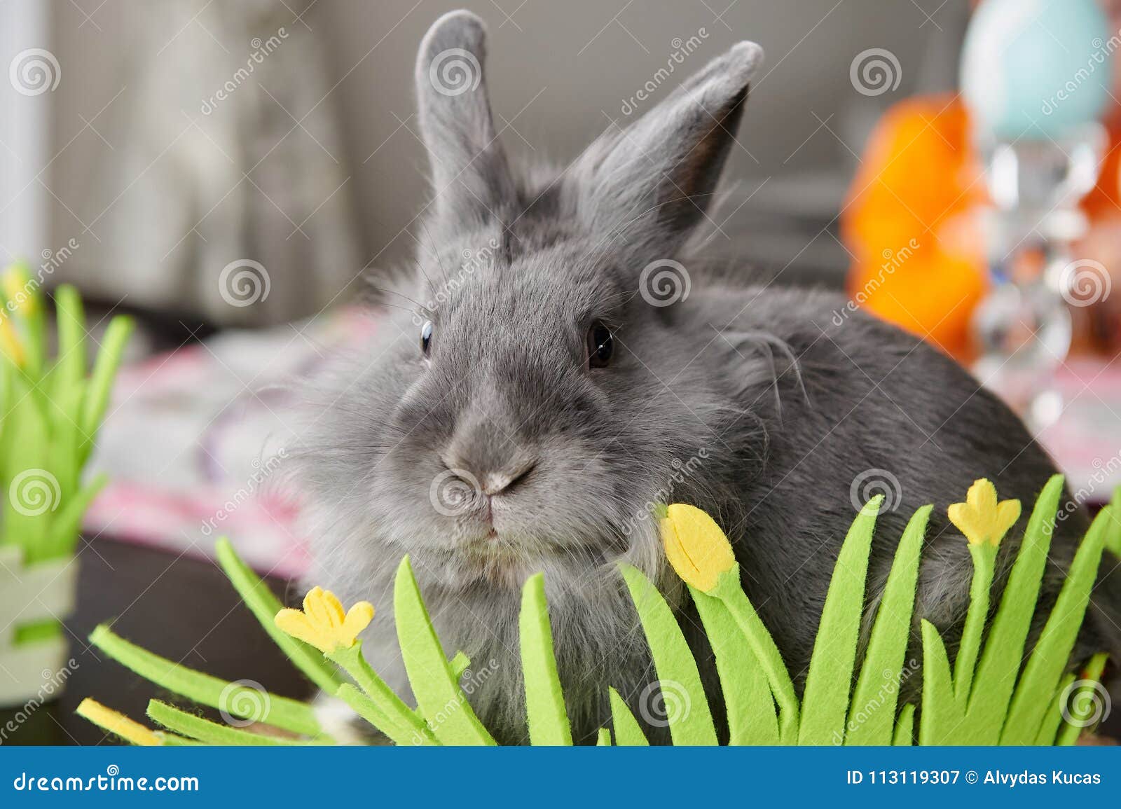 Easter Rabbit Sitting on the Table Stock Image - Image of colorful ...