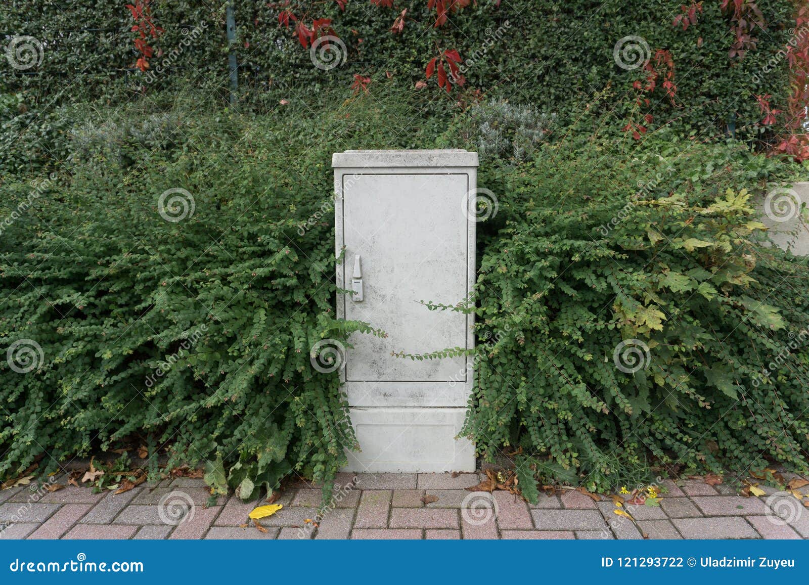Electrical Cabinet Surrounded by Green Bushes on the Sidewalk Stock ...