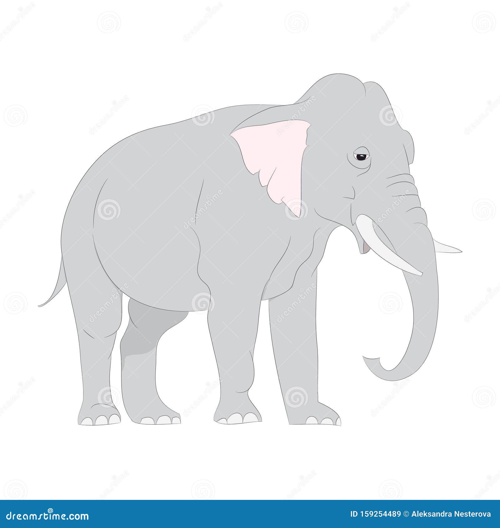 Gray Elephant Walks Vector, White Background Stock Vector ...