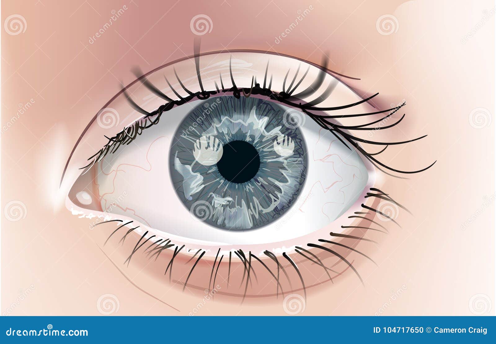 Gray Eye - ejemplo ilustración del vector. Ilustración de ceguera ...