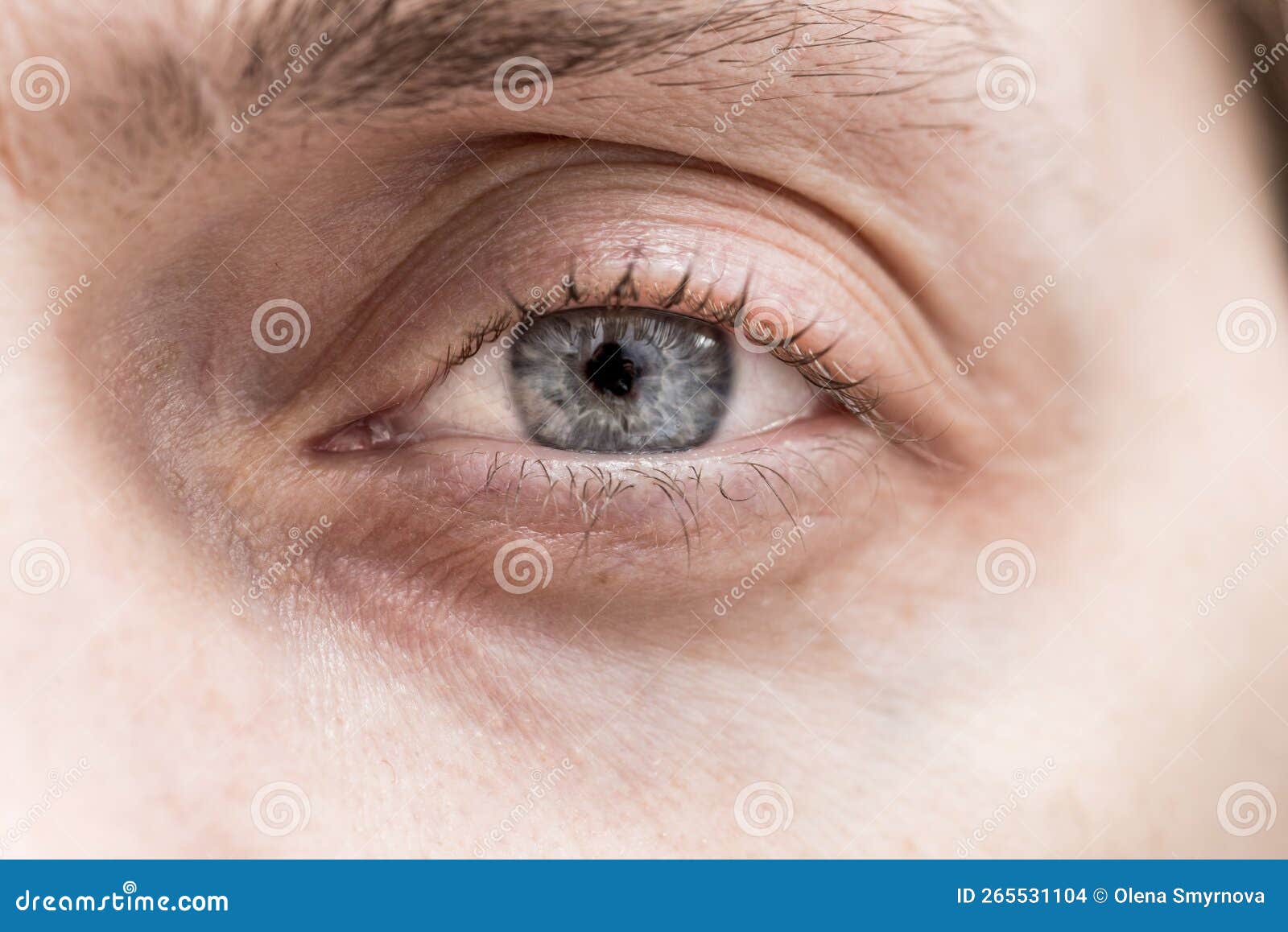 Gray male eye, close-up stock photo. Image of doctor - 265531104