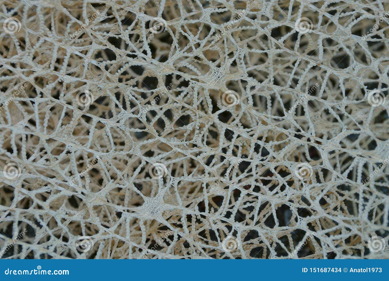 Fabric Texture of Fine Mesh on Clothes Stock Photo - Image of clothing ...