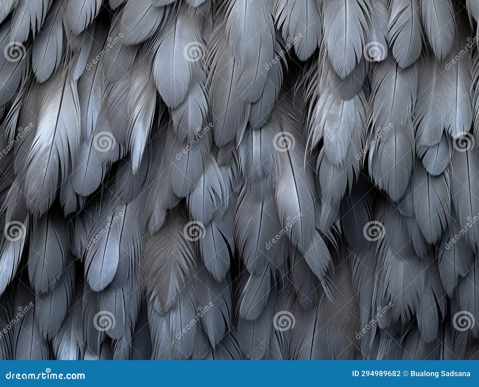 Gray feathers stock illustration. Illustration of pattern - 294989682